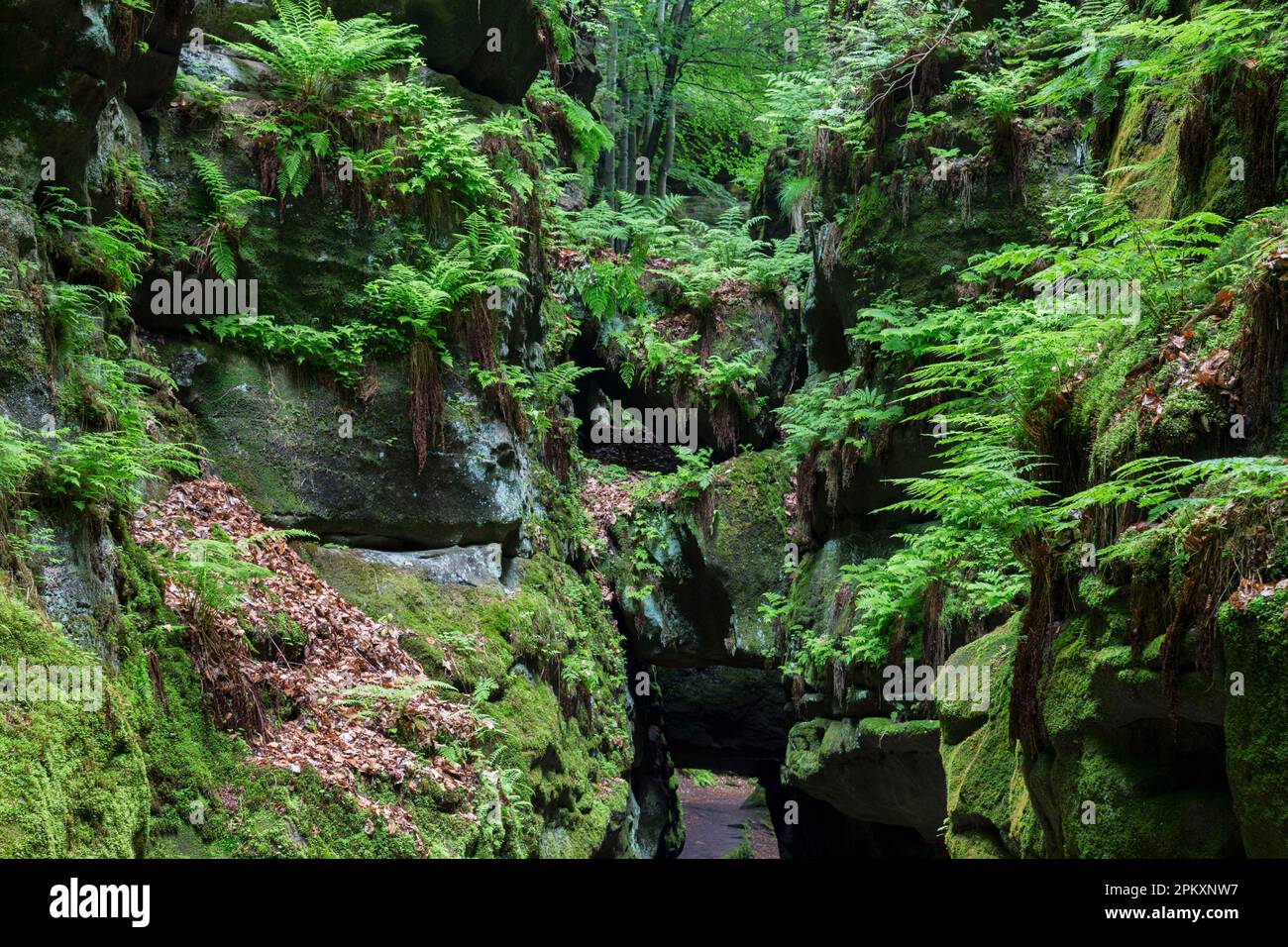 Grund gate hi-res stock photography and images - Alamy