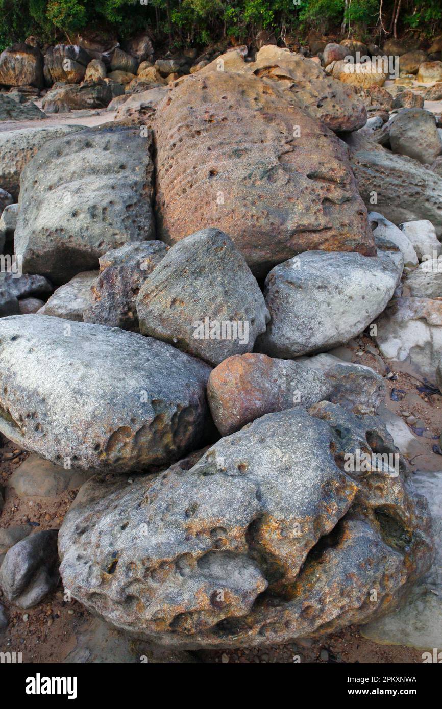 Beach with rocks and rainforest, Permai Rainforest, Satubong, South ...