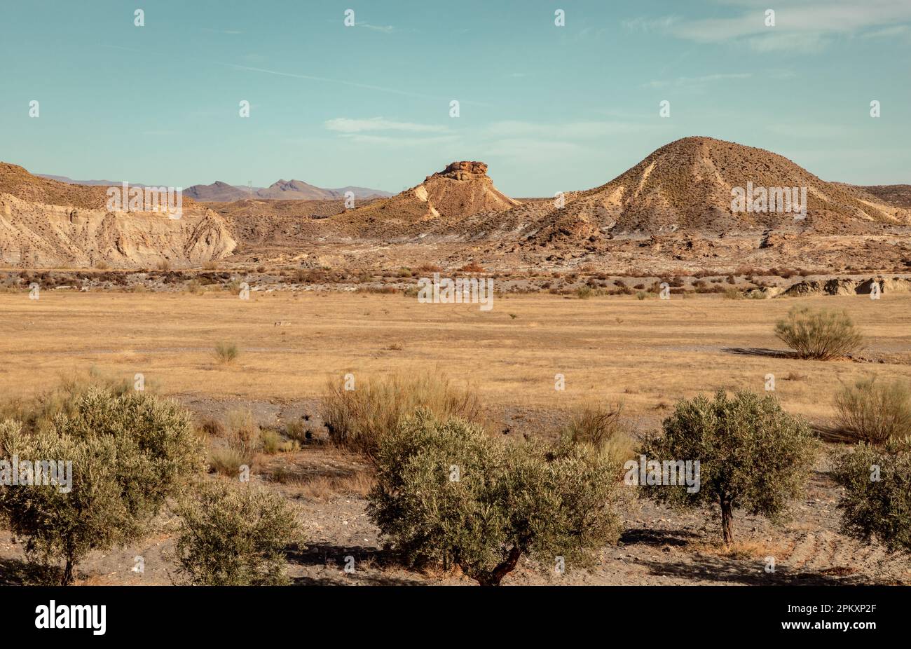 Nature landscape in the Tabernas Desert in Almeria Stock Photo - Alamy