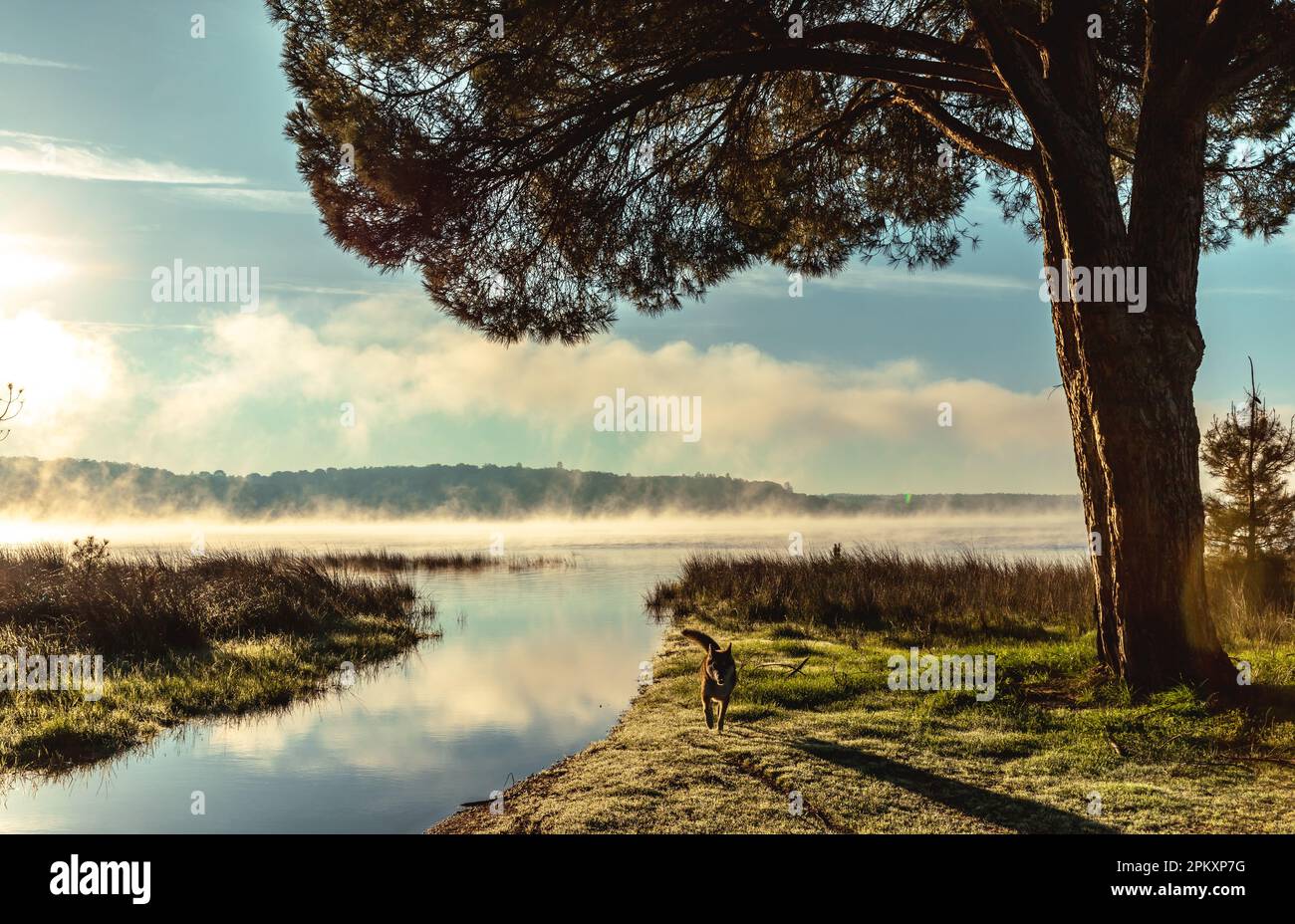 Landscape of the Dam Reservoir Albufeira da Barragem de Montargil Stock ...