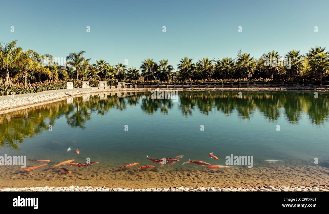 Landscape of the Bacalhoa Buddha eden Garden in Bombarral Portugal ...