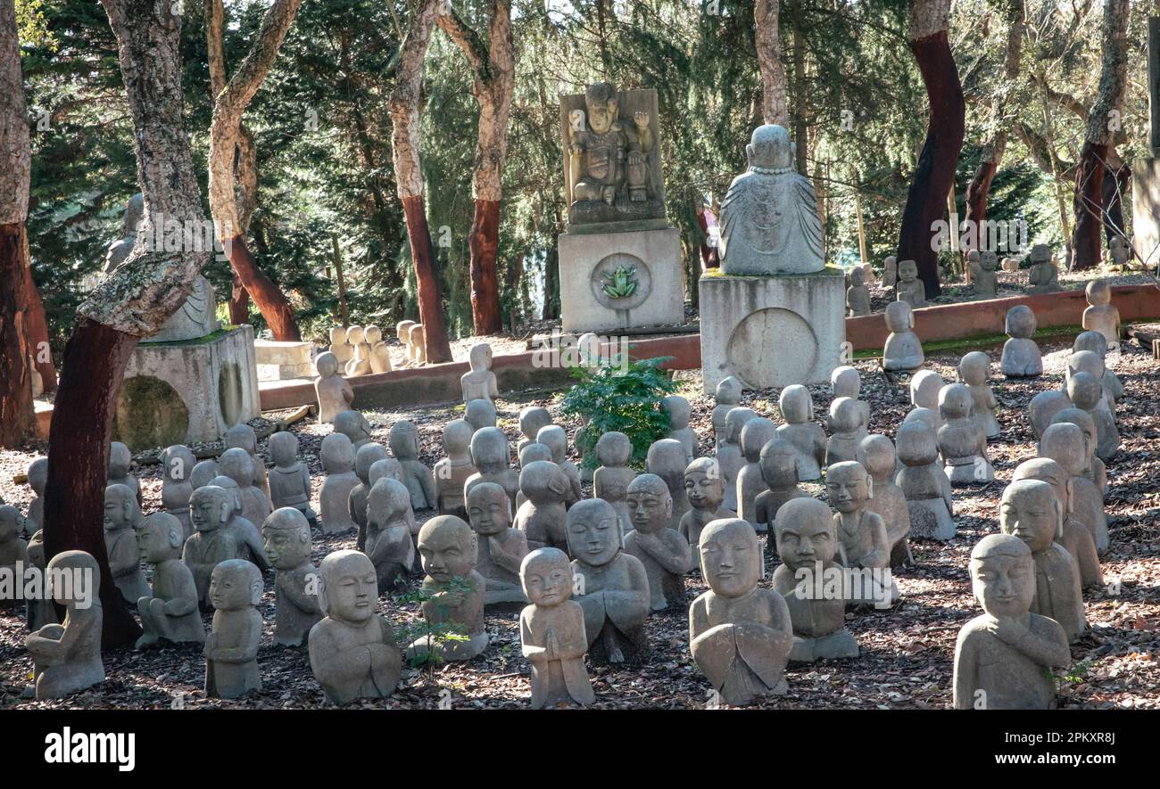 Part of the garden Bacalhoa Buddha eden in Bombarral Portugal the ...
