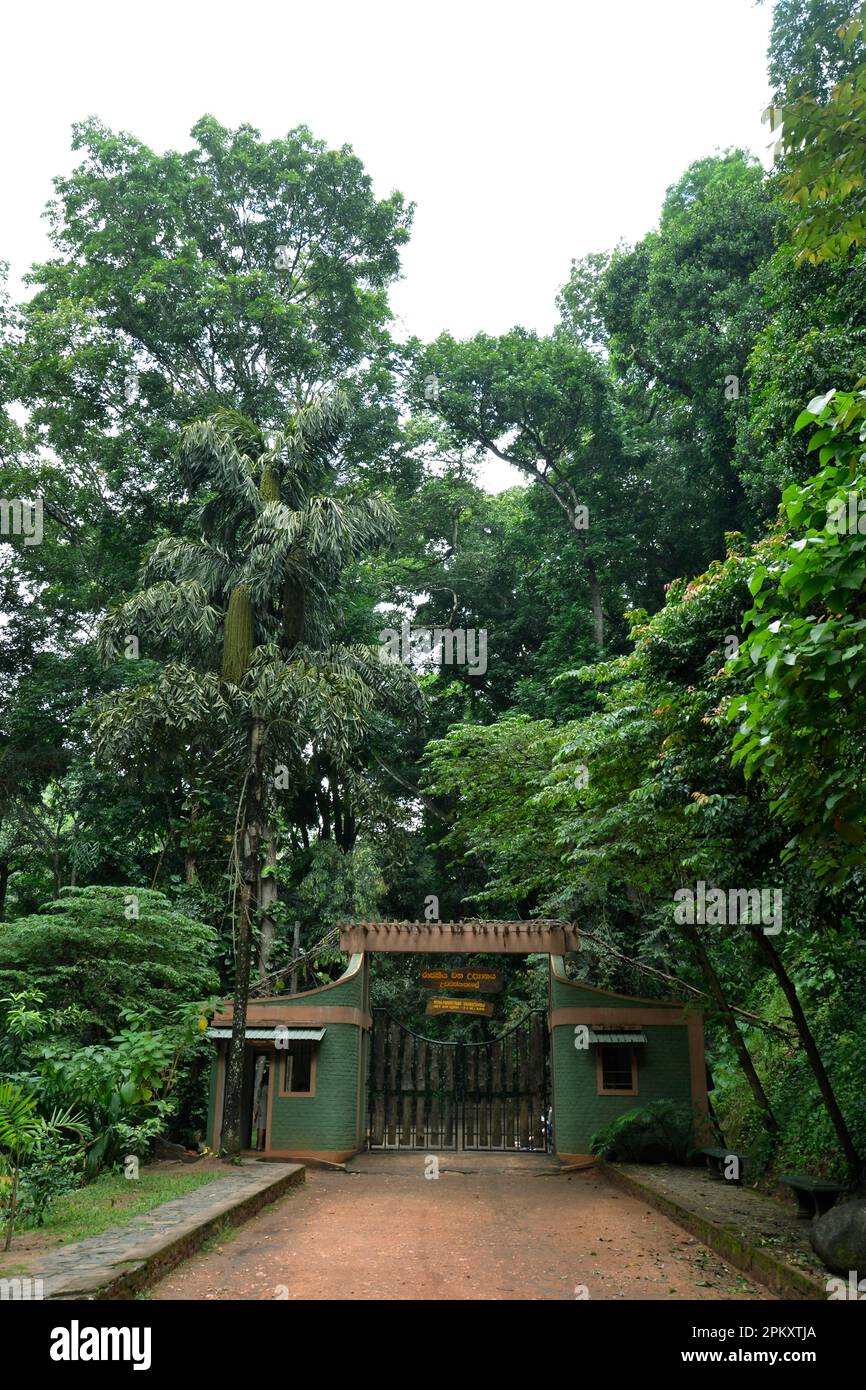 Entrance, Royal Forest Park Udawattakele, Kandy, Sri Lanka Stock Photo ...