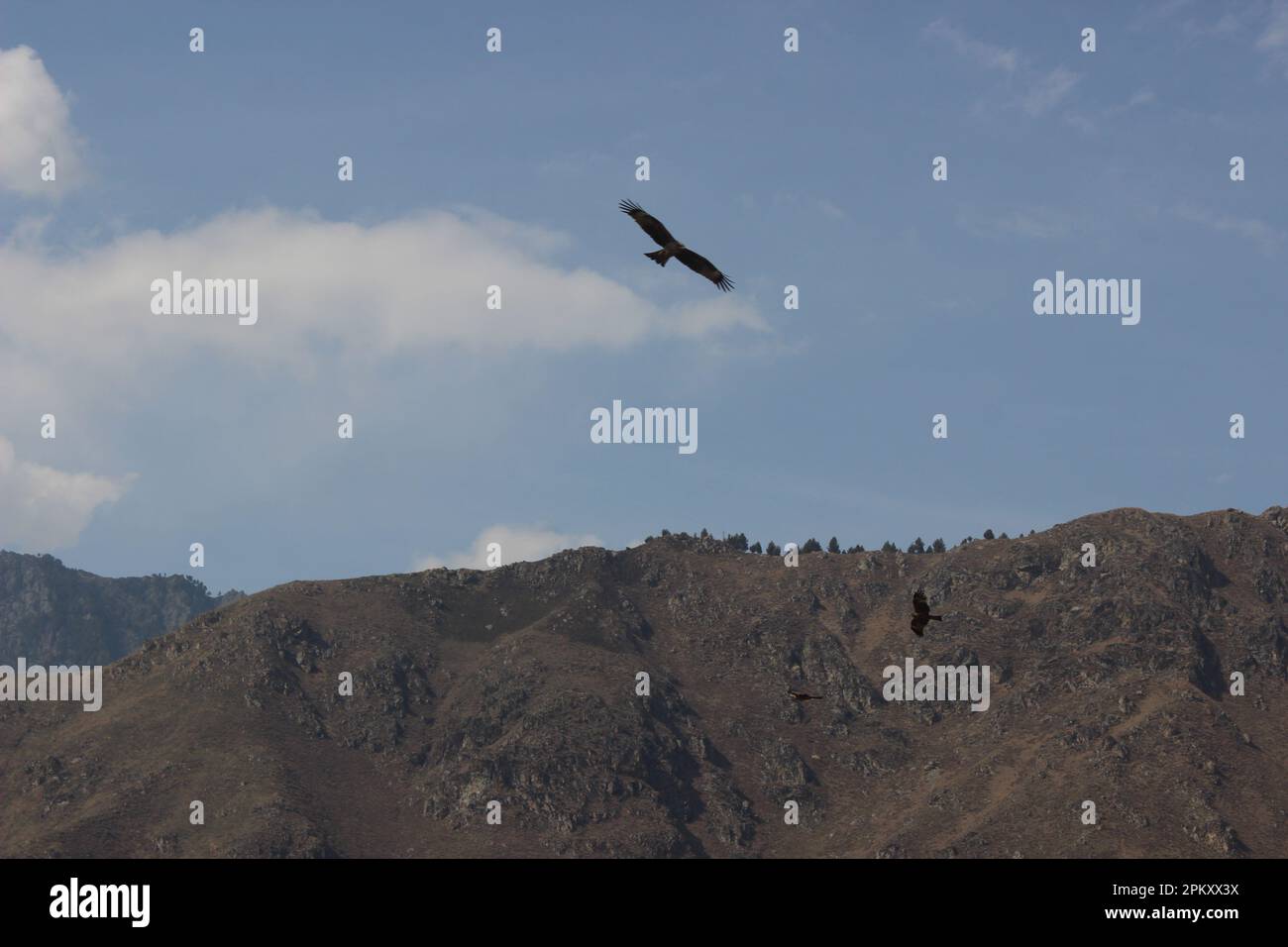 Astanmarg, an enriching tourist destination on top of the Zabarwan ...