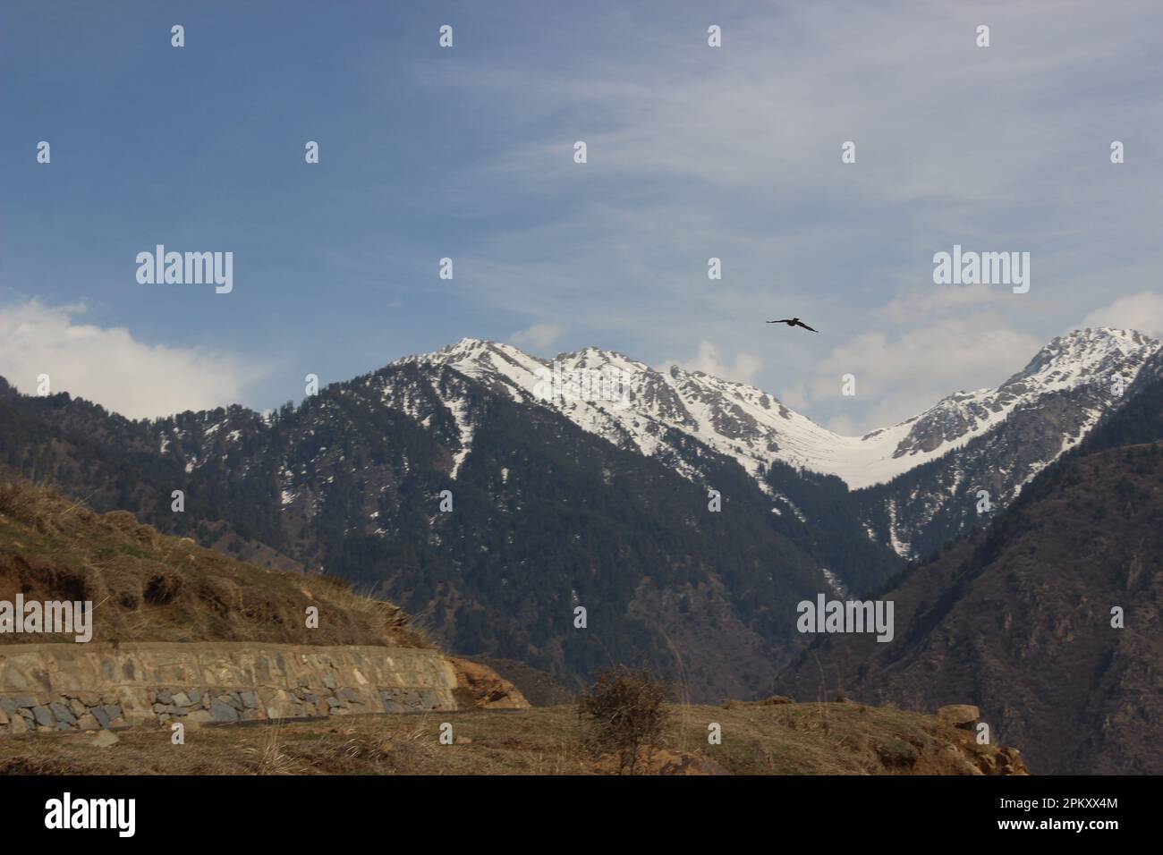 Astanmarg, an enriching tourist destination on top of the Zabarwan ...