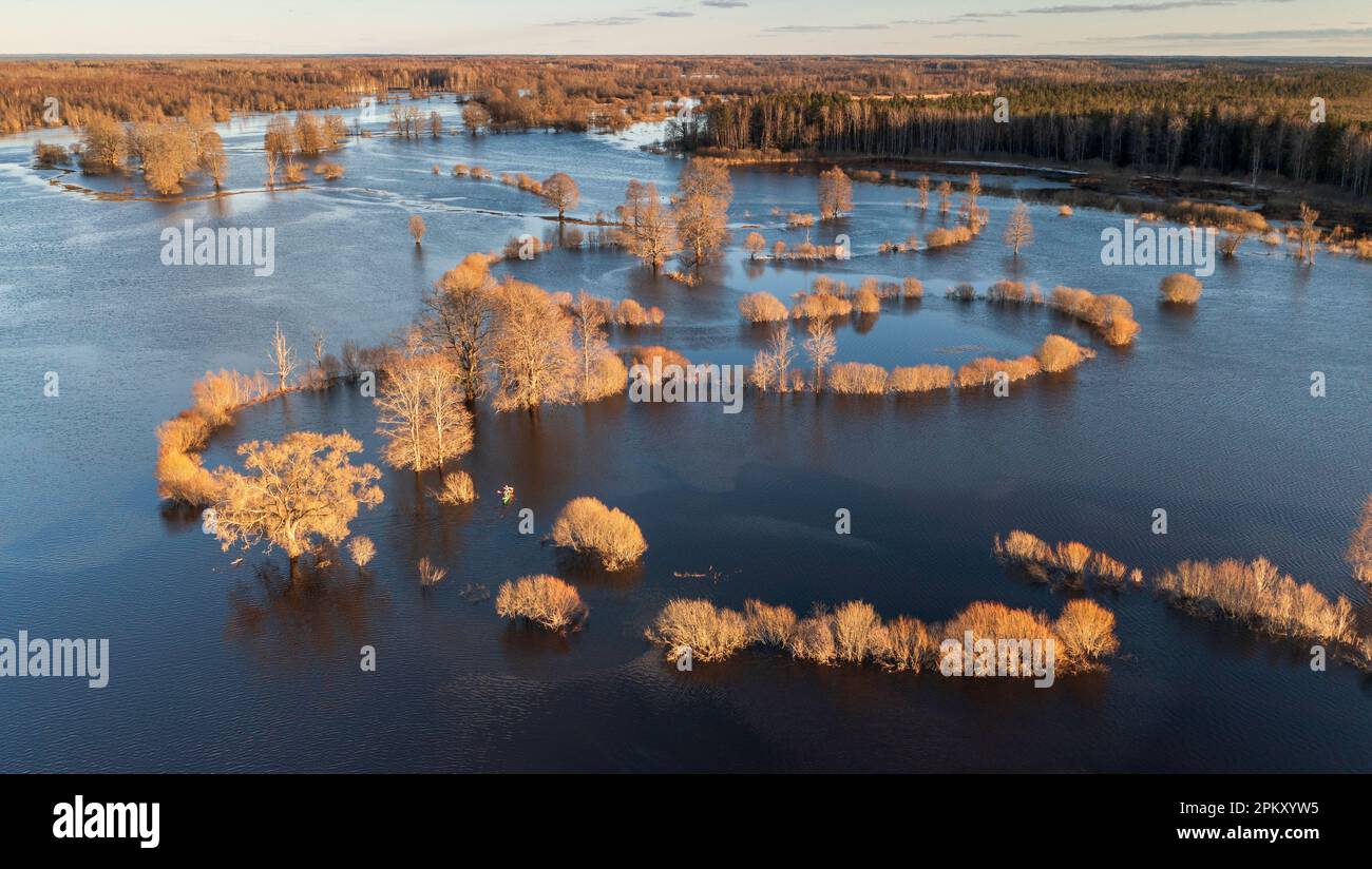 Aerial view of Soomaa National Park in Estonia showcasing a lush ...