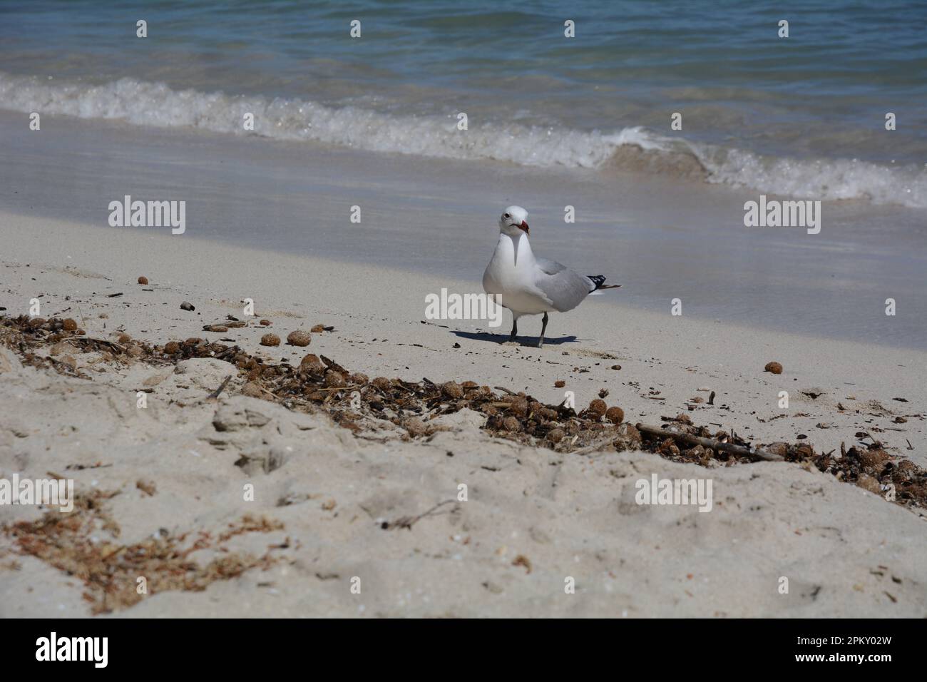 Sonne am strand hi-res stock photography and images - Alamy