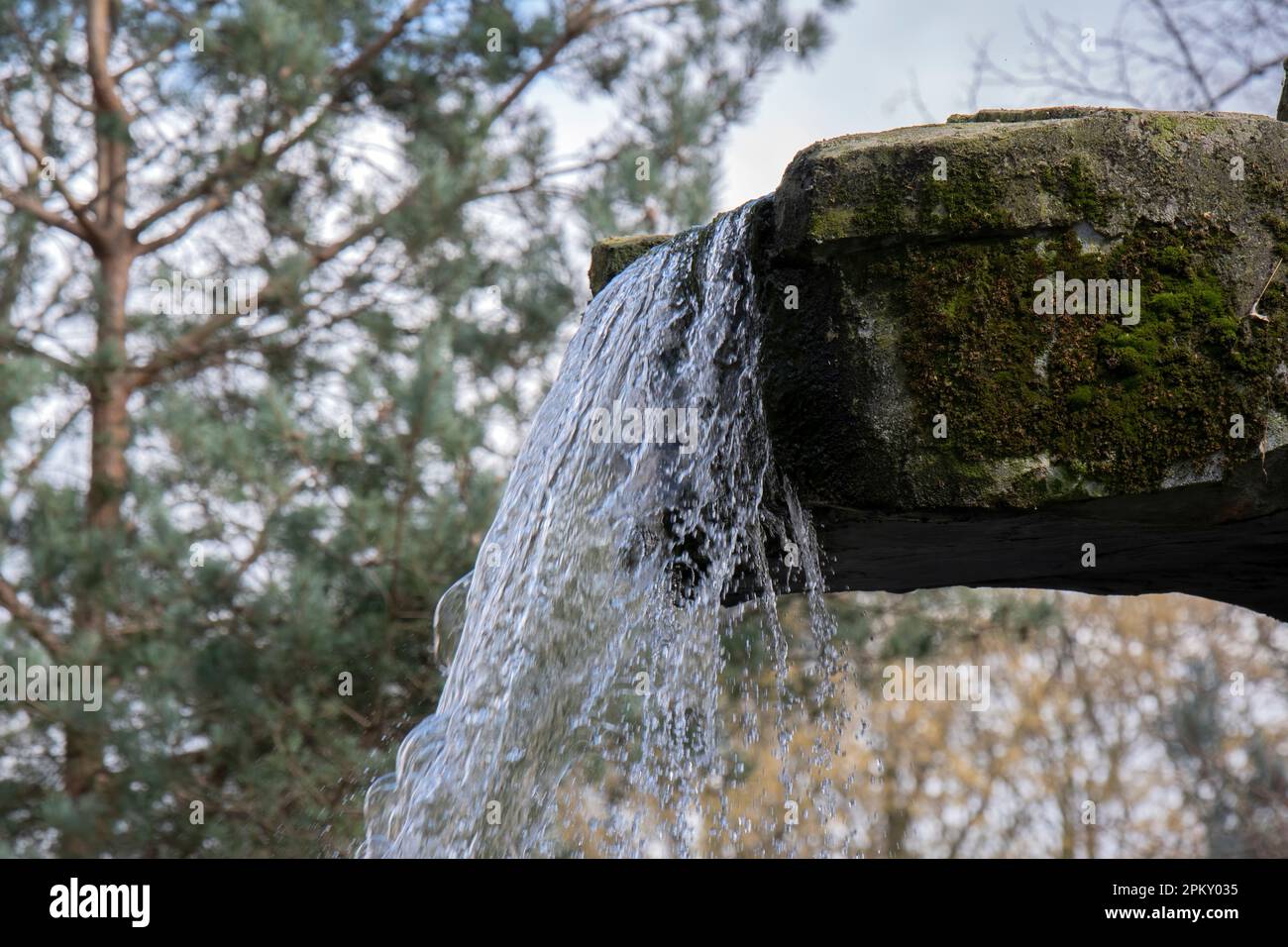 Water Flowing From A Small Waterfall At The Artis Zoo Park At Amsterdam ...