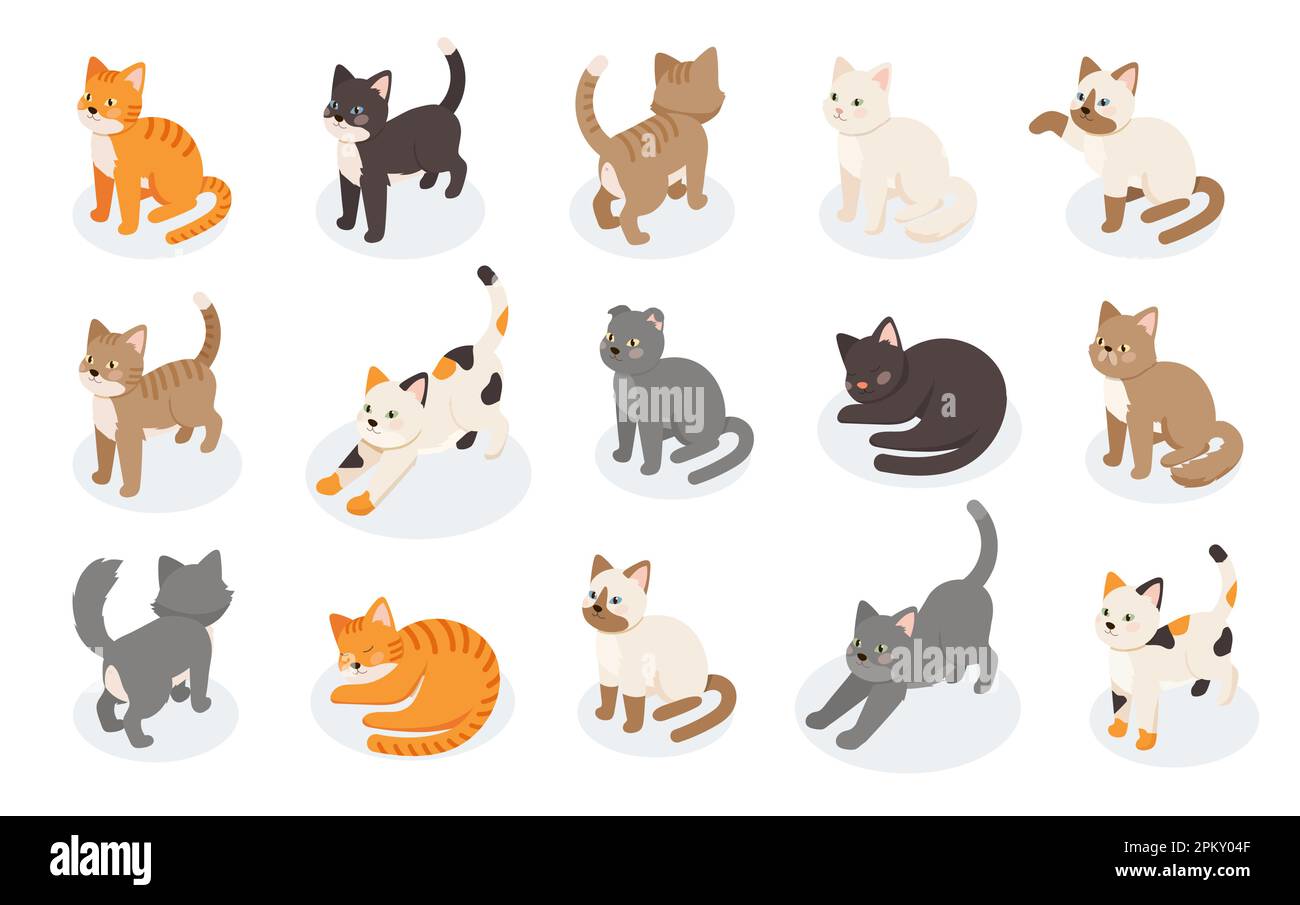 Isometric cats set Stock Vector Image & Art - Alamy