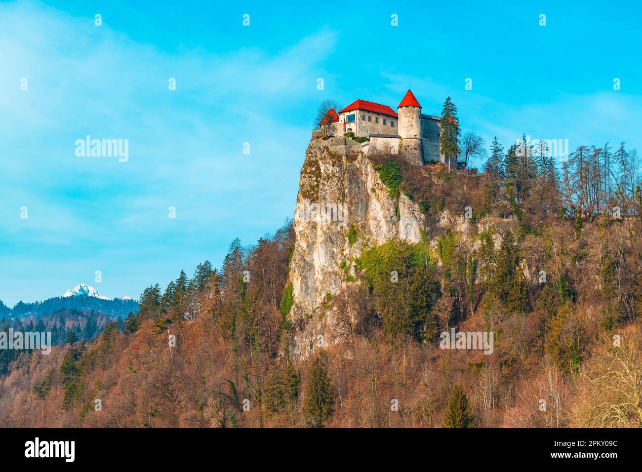 Bled castle is the oldest castle in Slovenia and one of its most famous ...