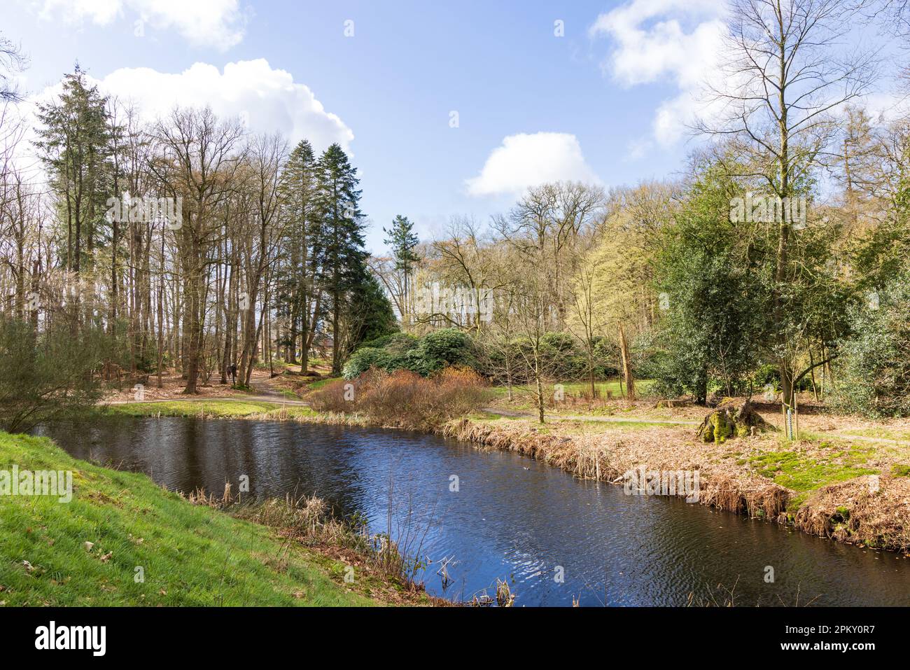 Landscape Estate De Braak in Paterwolde Municipality Tynaarlo in ...