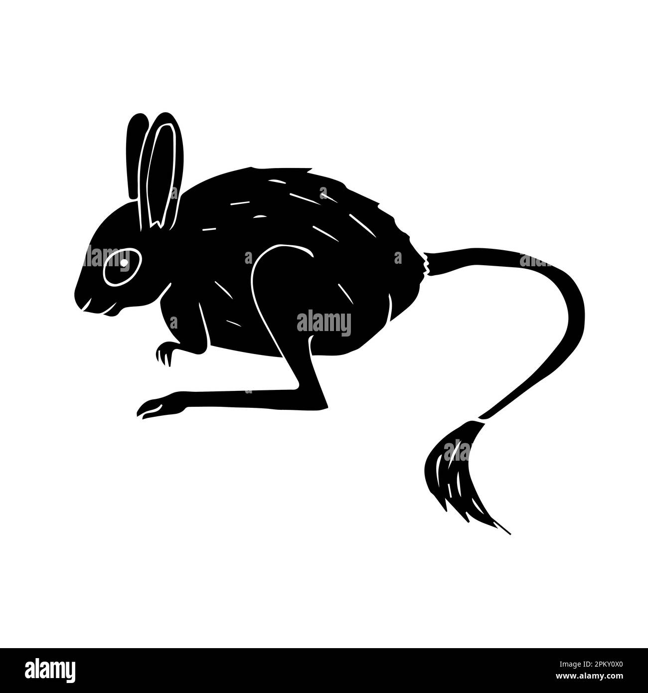 Vector hand drawn doodle sketch black Jerboa isolated on white ...