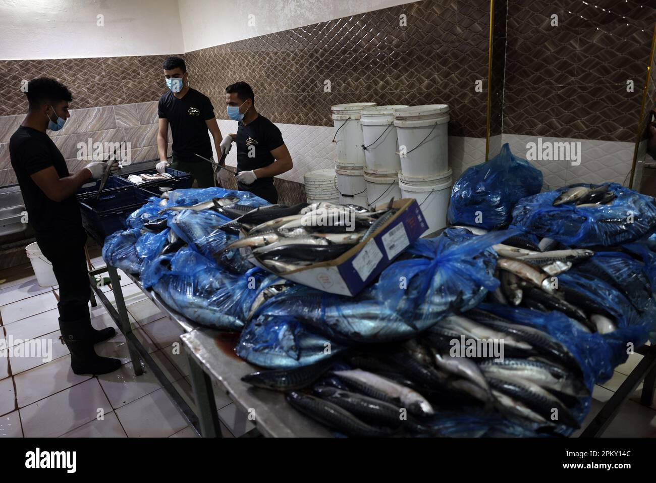 Palestinian workers prepare smoked fish at a factory in Rafah southern ...