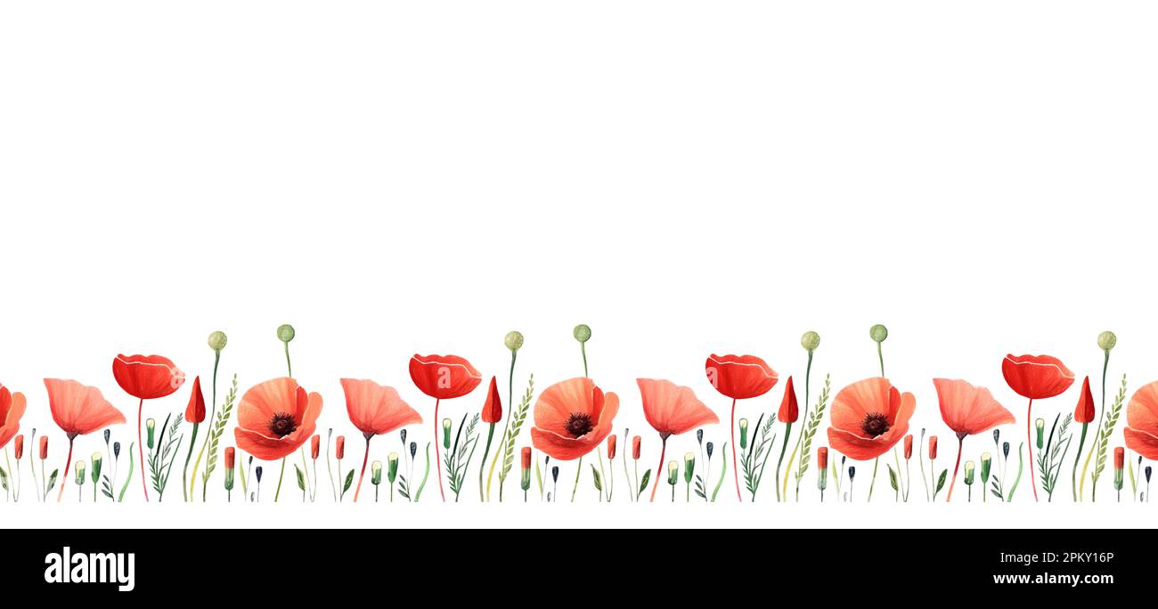 Stylized Red Poppies Field Digital Painting, Pencil Drawing Style ...