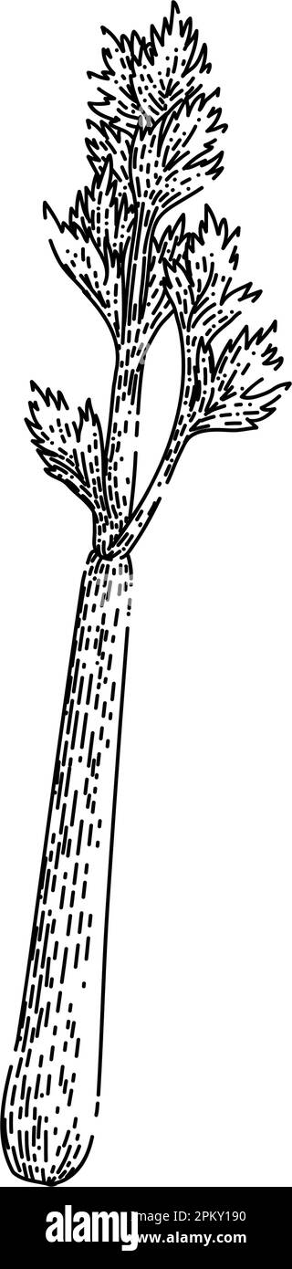 The chopped leaf Black and White Stock Photos & Images - Alamy