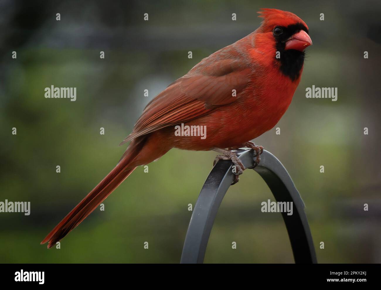 M etal hi-res stock photography and images - Alamy