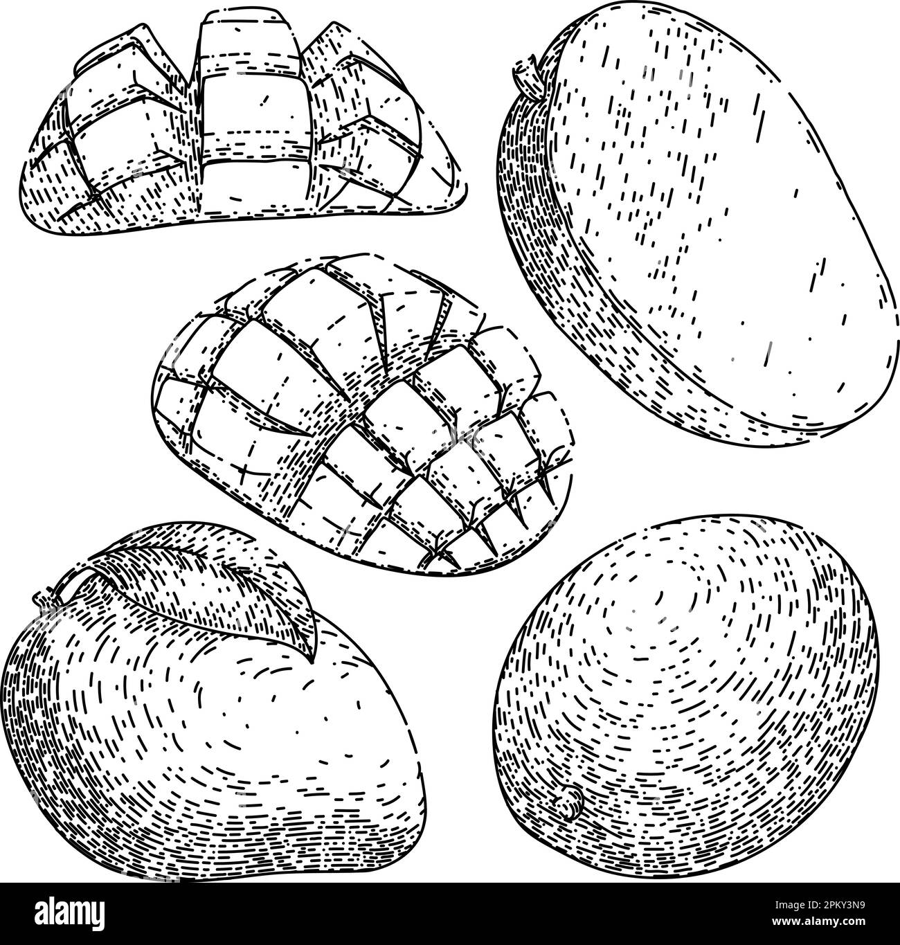 Ripe red mango fruit Black and White Stock Photos & Images - Alamy