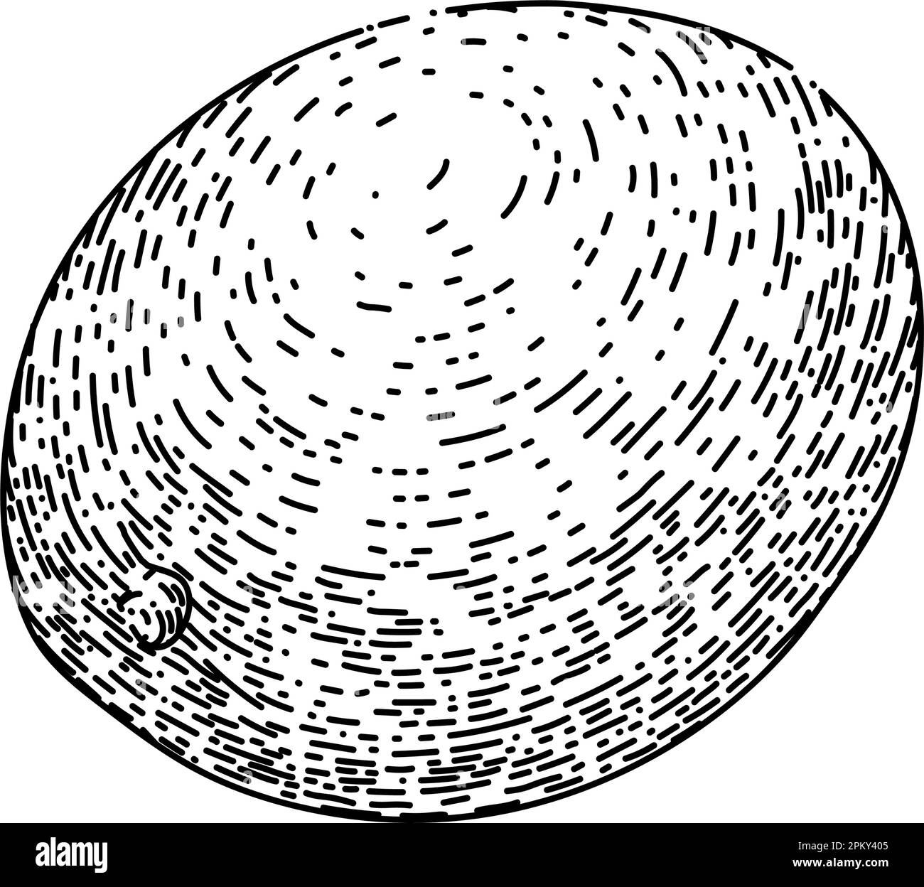 Ripe red mango fruit Black and White Stock Photos & Images - Alamy