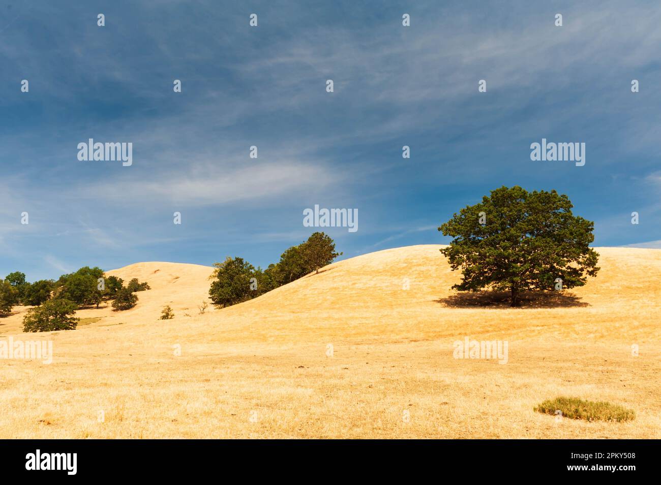 Glide oregon hi-res stock photography and images - Alamy