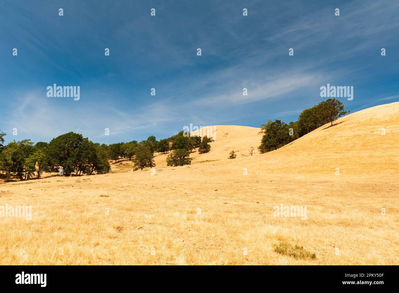 Glide oregon hi-res stock photography and images - Alamy