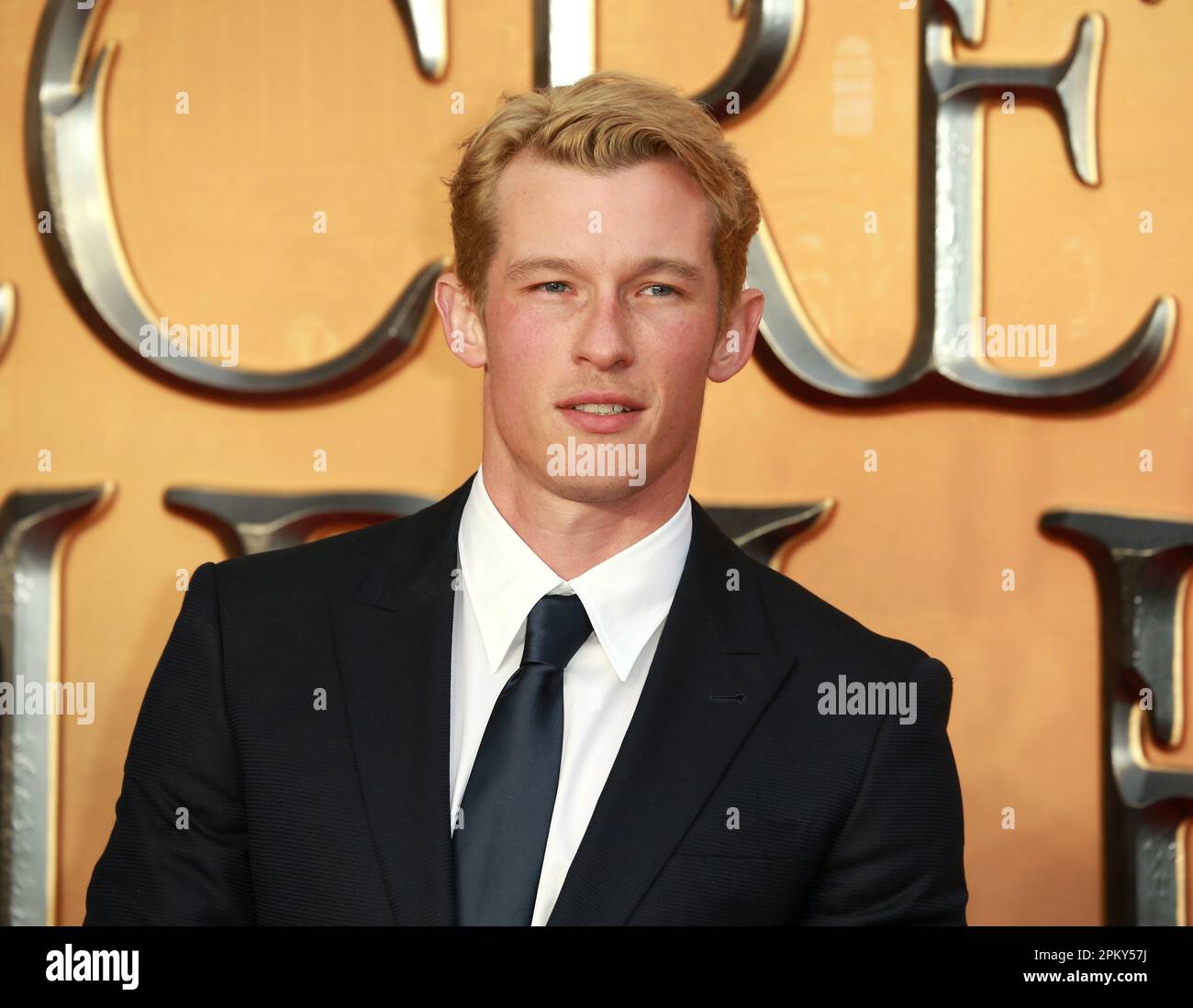 Callum Turner attends the World Premiere of "Fantastic Beasts: The ...