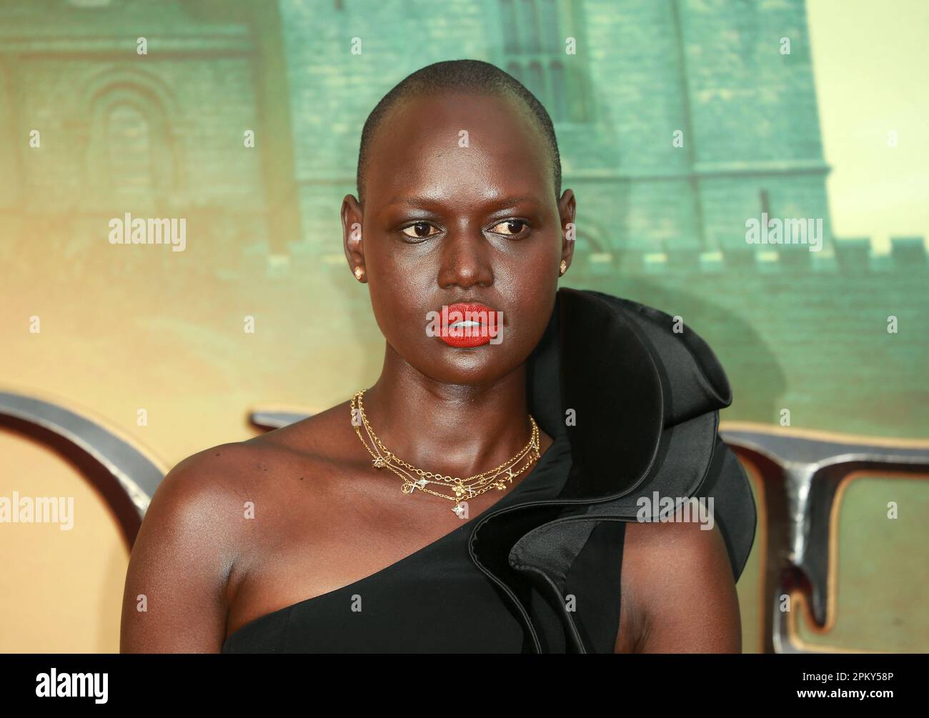 Ajak Deng attends the World Premiere of "Fantastic Beasts: The Secrets ...