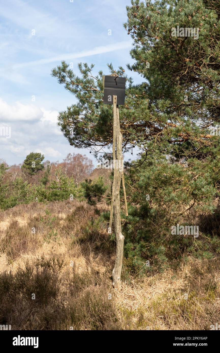 Fire beaters hanging up at Old Lodge Nature Reserve, Sussex, UK. Fire ...