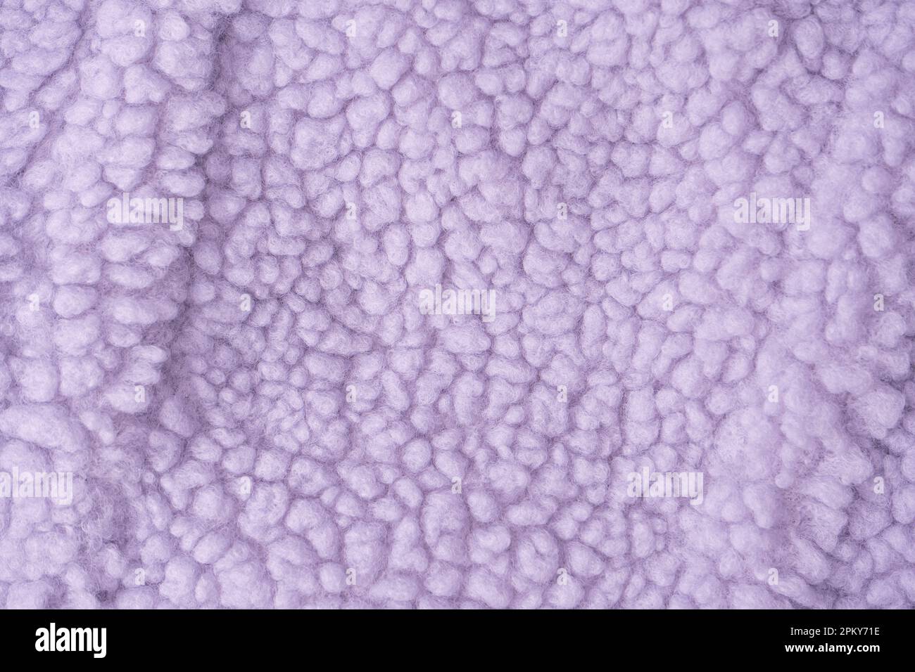 Purple fur texture as a background. Top view Stock Photo - Alamy