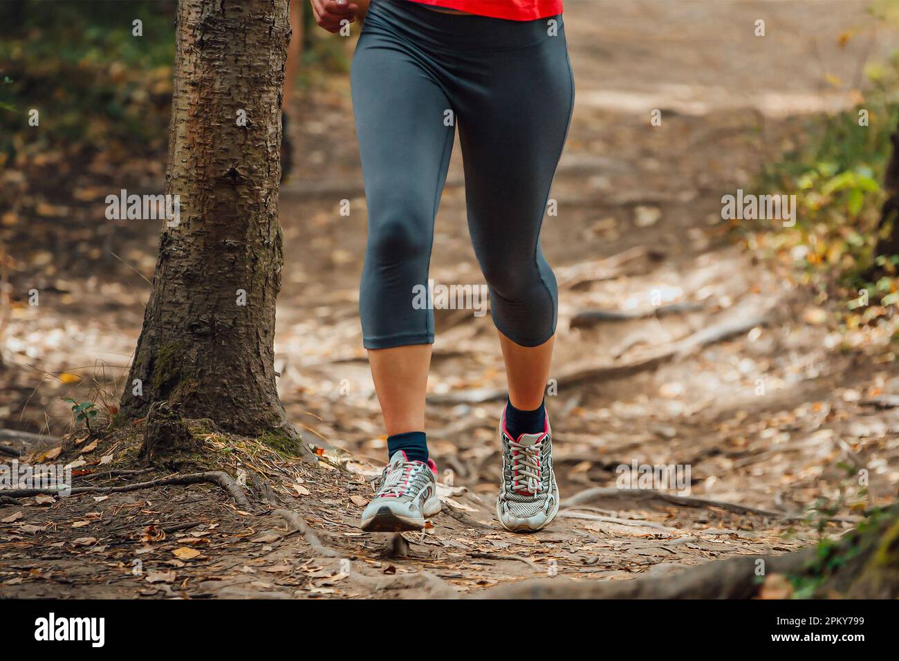 legs female runner in leggings runnin forest trail along roots of trees ...