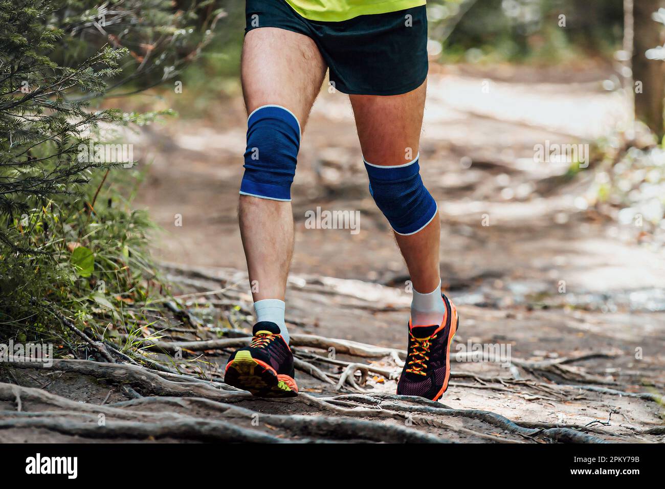 Tree foot roots hi-res stock photography and images - Alamy