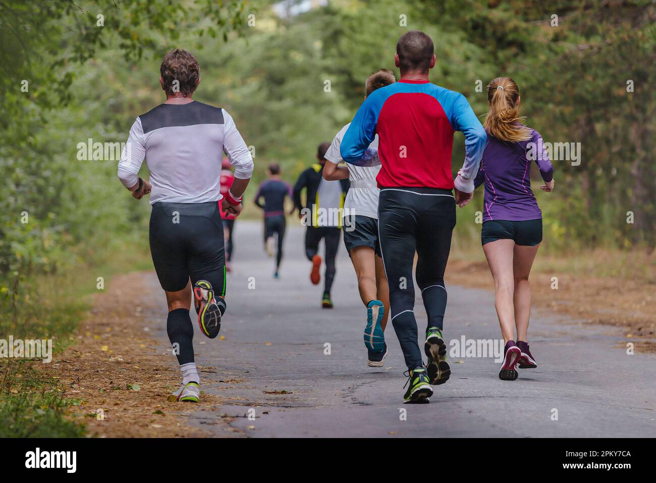 group runners male and female running race on park road, autumn ...