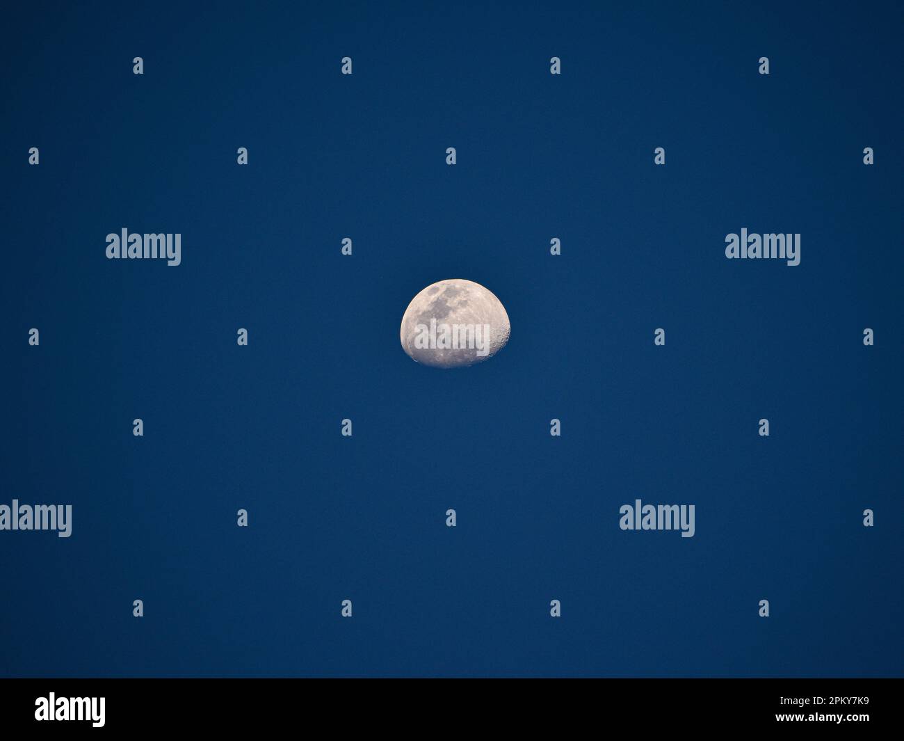 Moon in the beautiful blue evening sky. Gazing up at the night sky, we ...