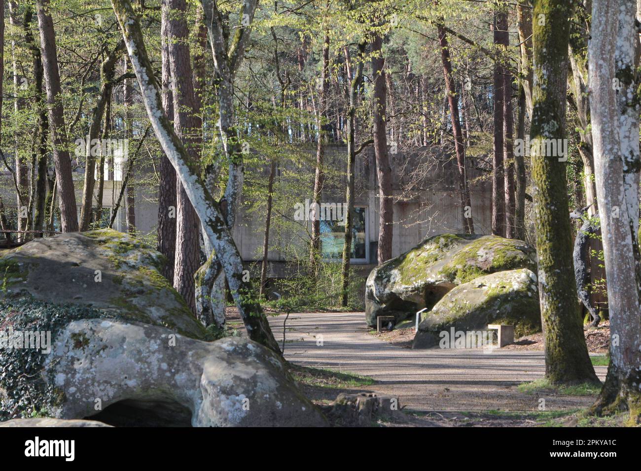 Nemours: the Museum of Prehistory, designed by Roland Simounet in 1980 ...
