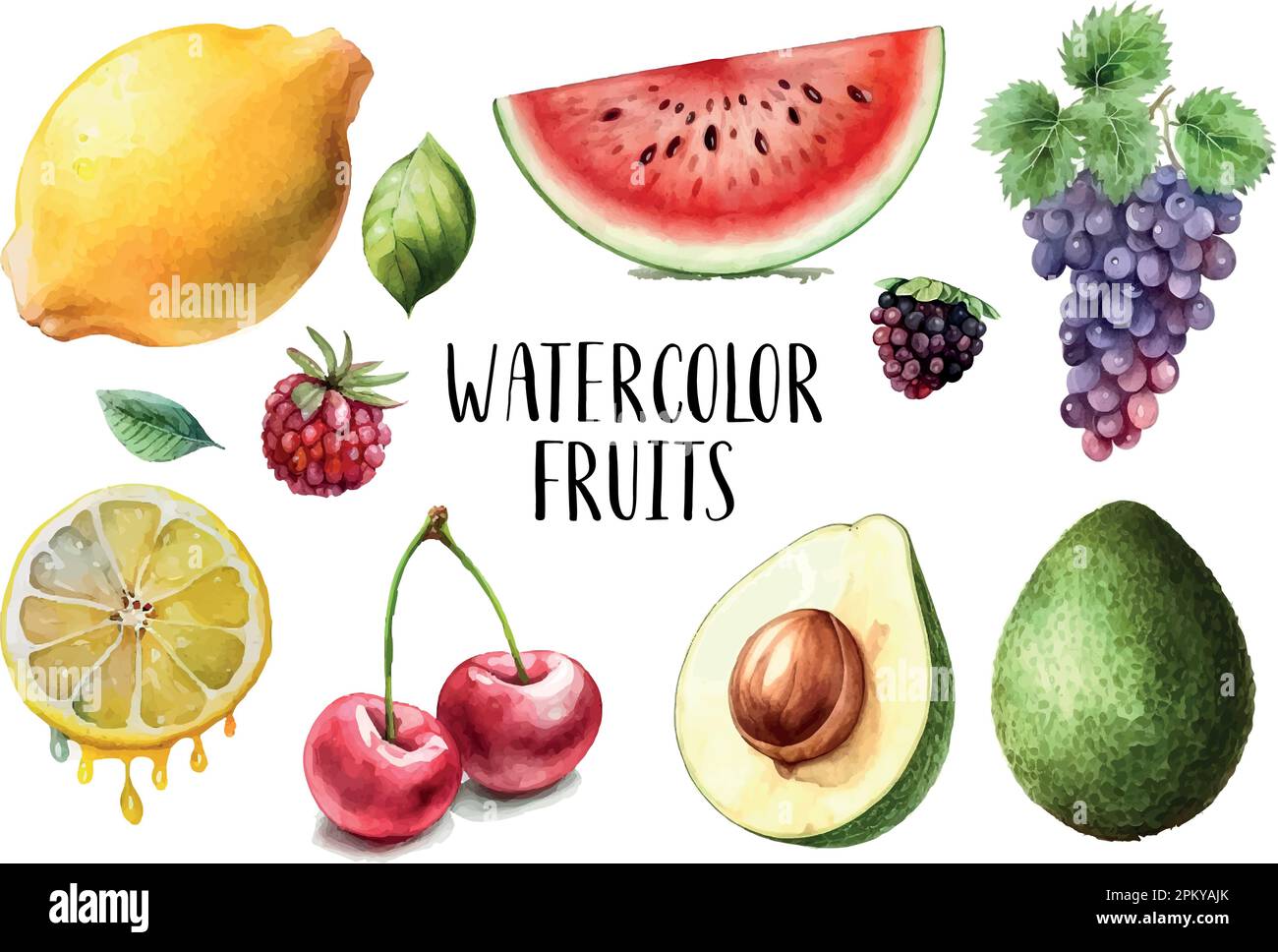 Watercolor painted collection of fruits. Hand drawn fresh food design ...