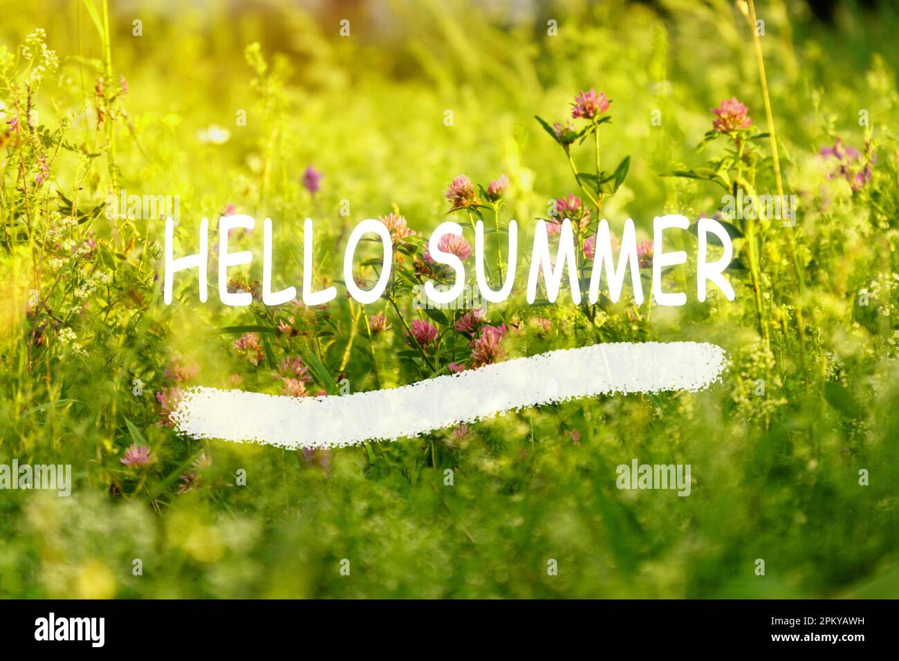 Green grass background. Sun rays. Hello Summer text. Summer season ...