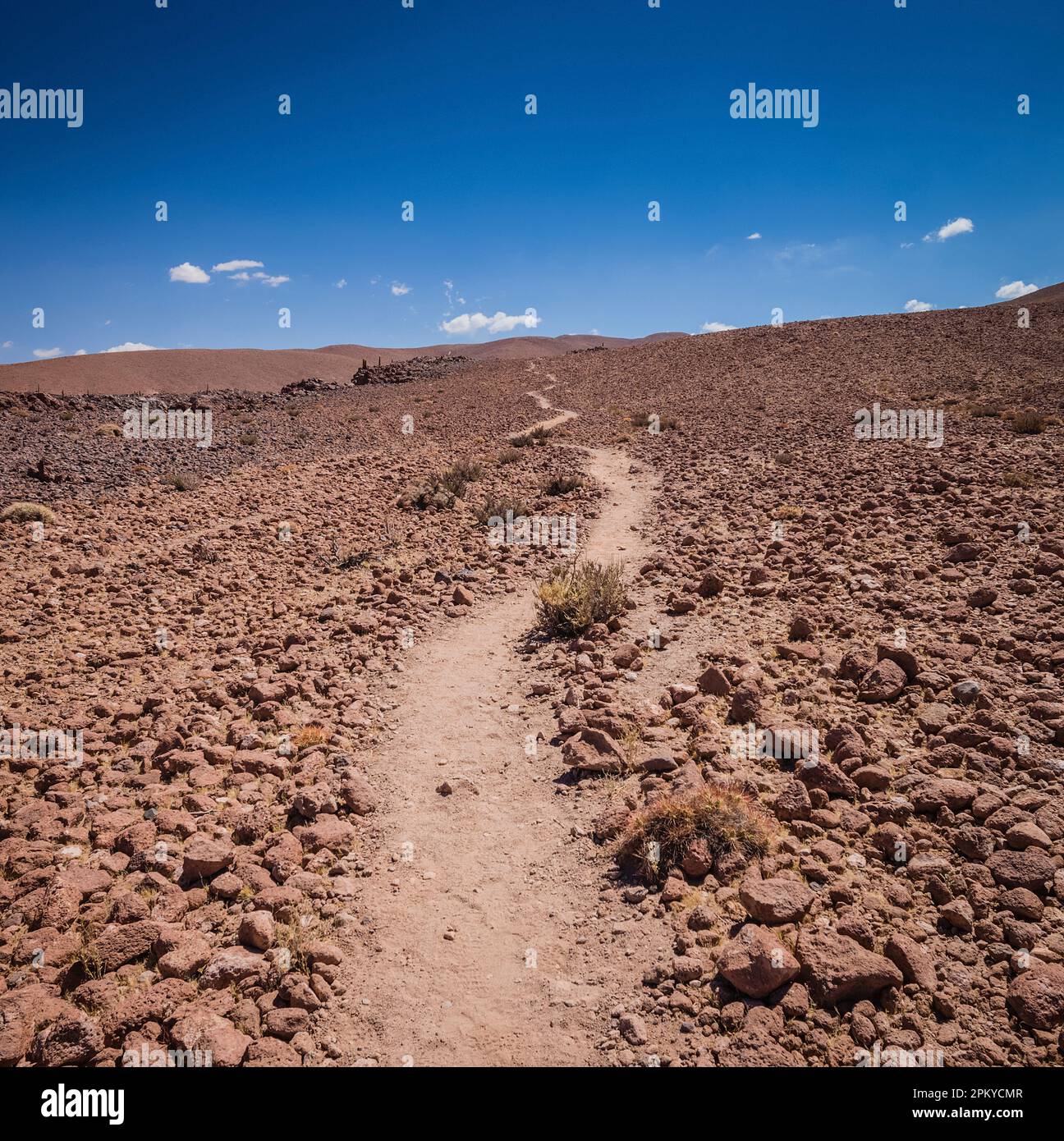 Desert track trail hi-res stock photography and images - Alamy