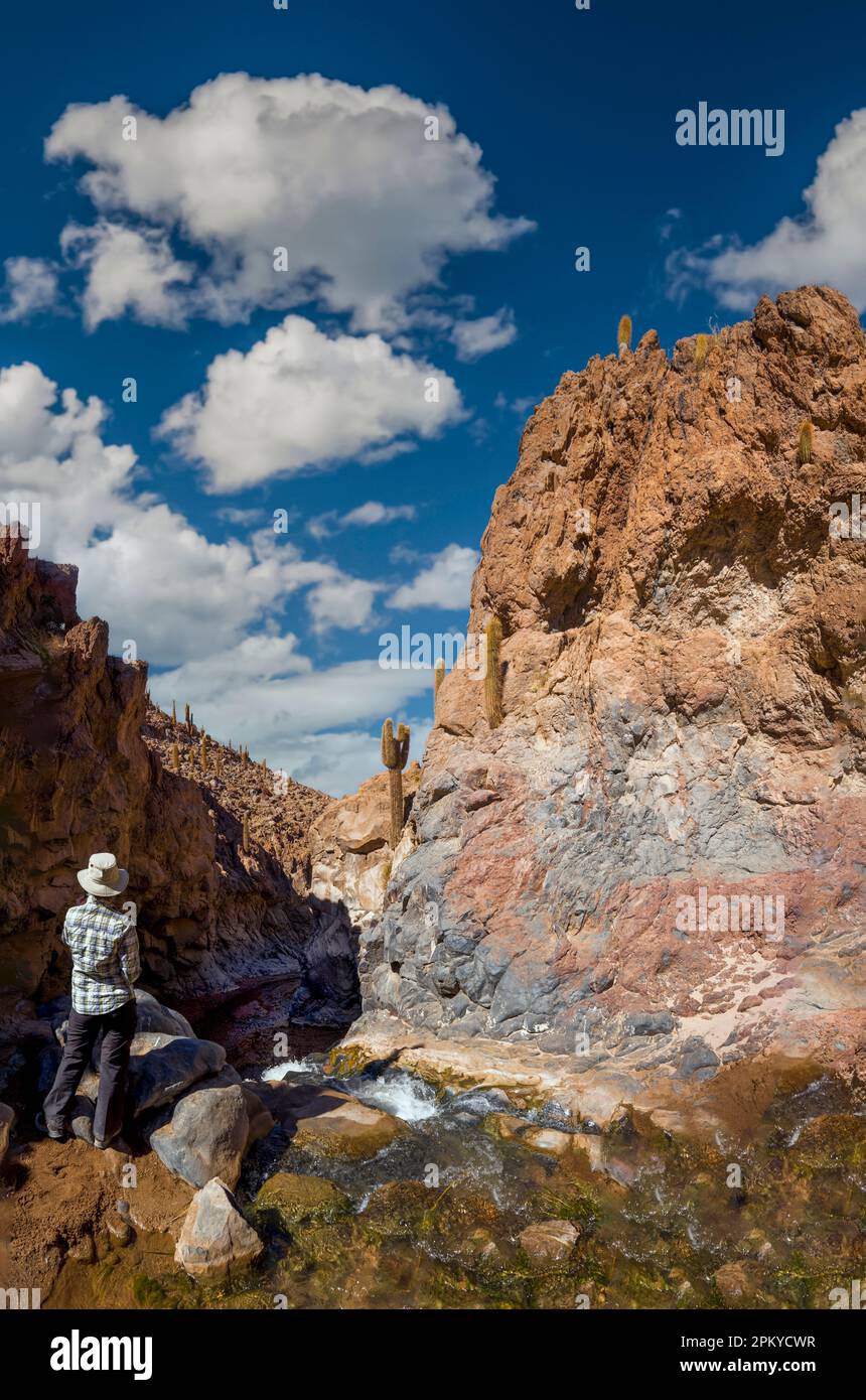 Female hiking through the gorge on the Cactus walk at San Pedro de ...