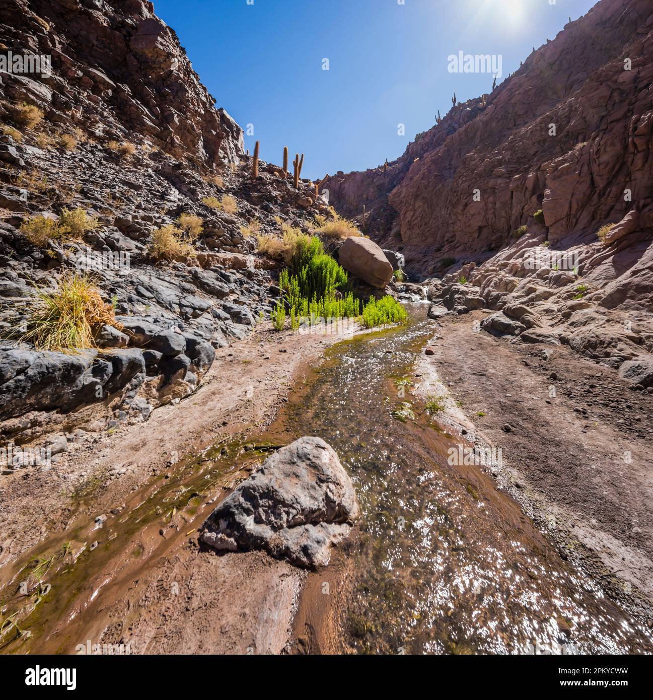 Hiking through the gorge on the Cactus walk at San Pedro de Atacama ...