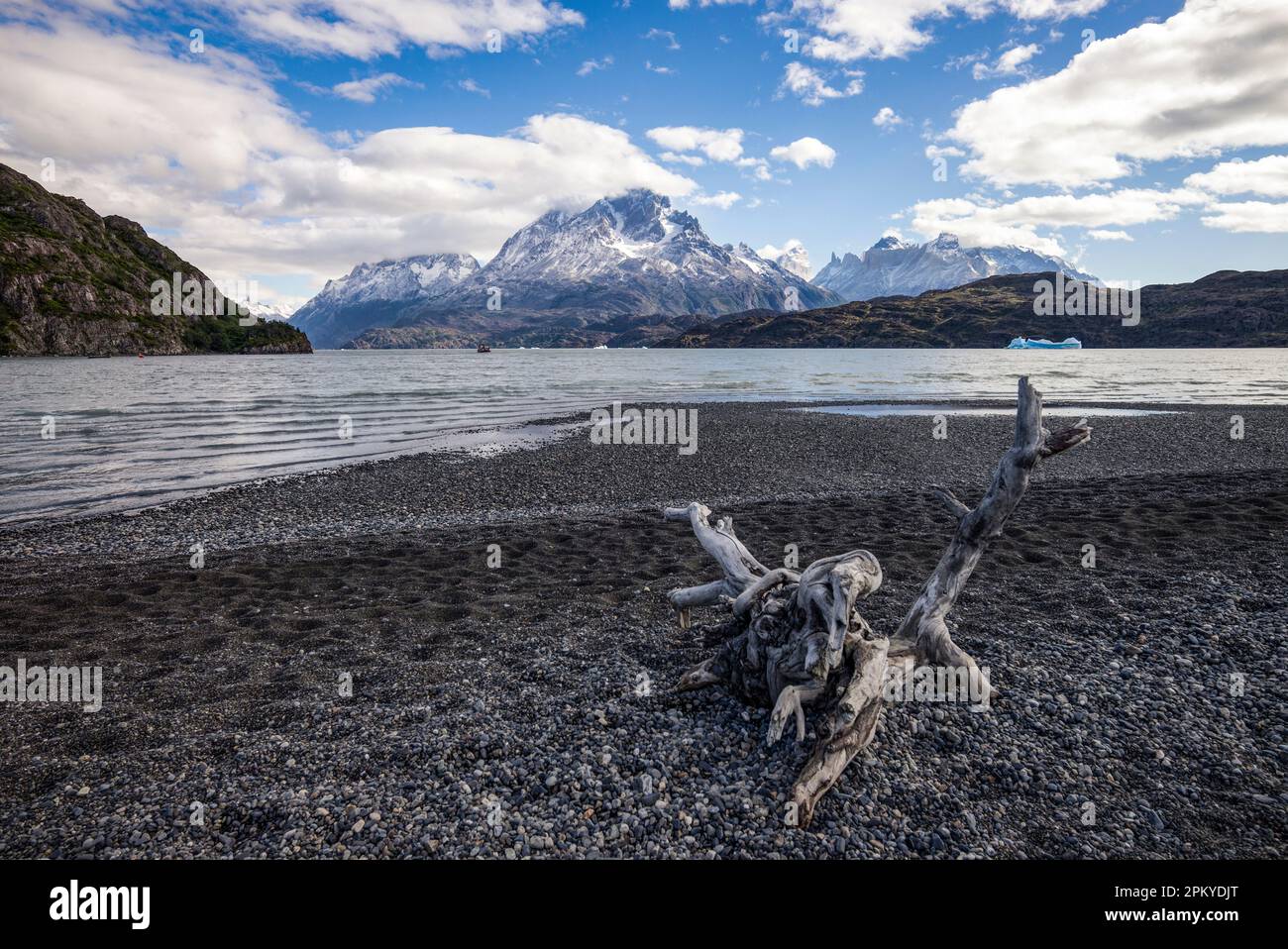 The wilderness landscape of Lago Gray, Torres del Paine, Patagonia ...