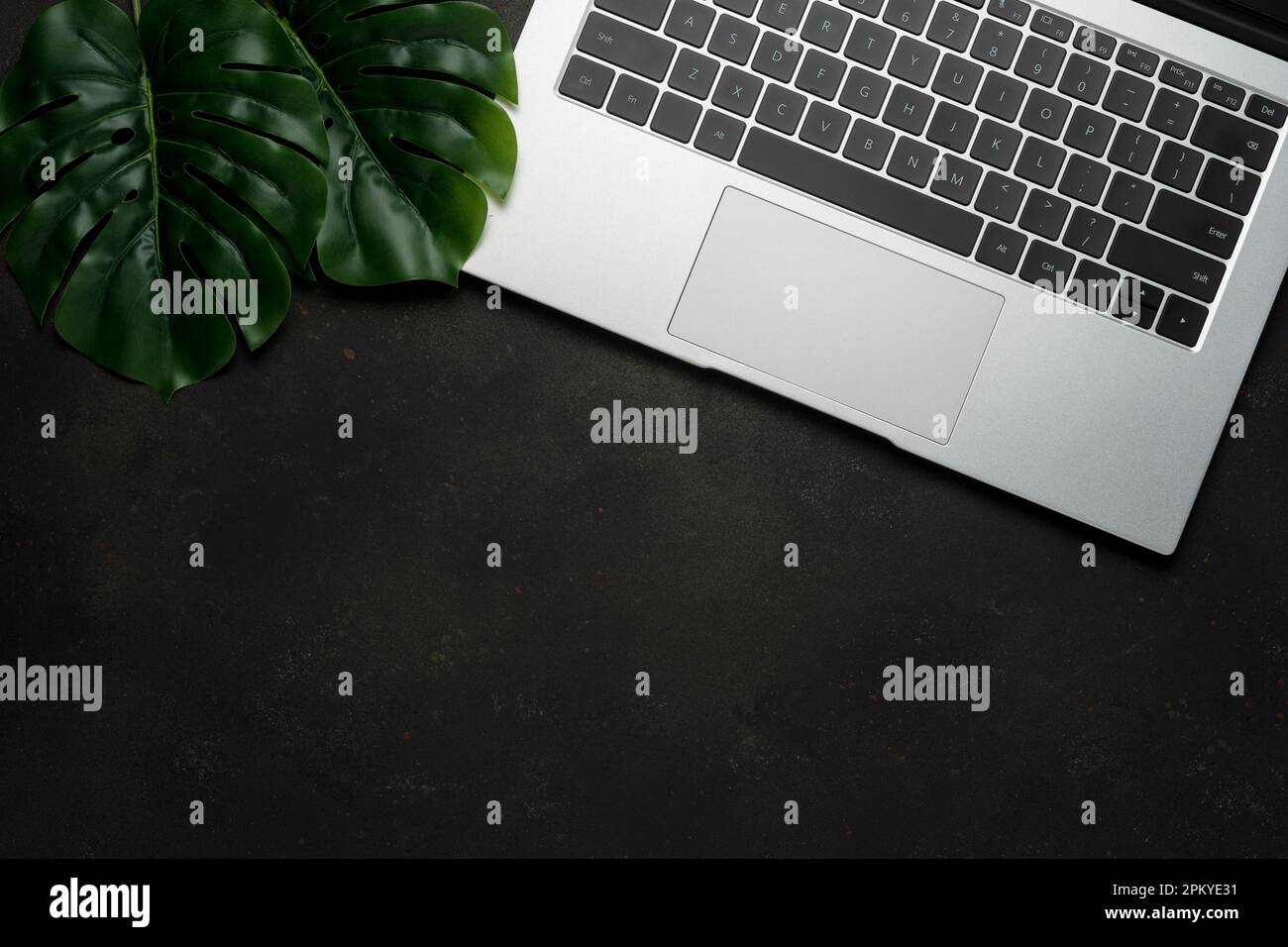 Workspace with laptop and palm leaves on black background. Flat lay ...