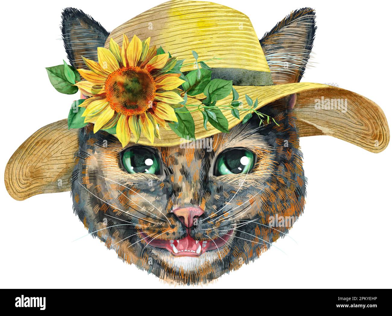 Cute cat in summer hat. Cat for t-shirt graphics. Watercolor Short ...