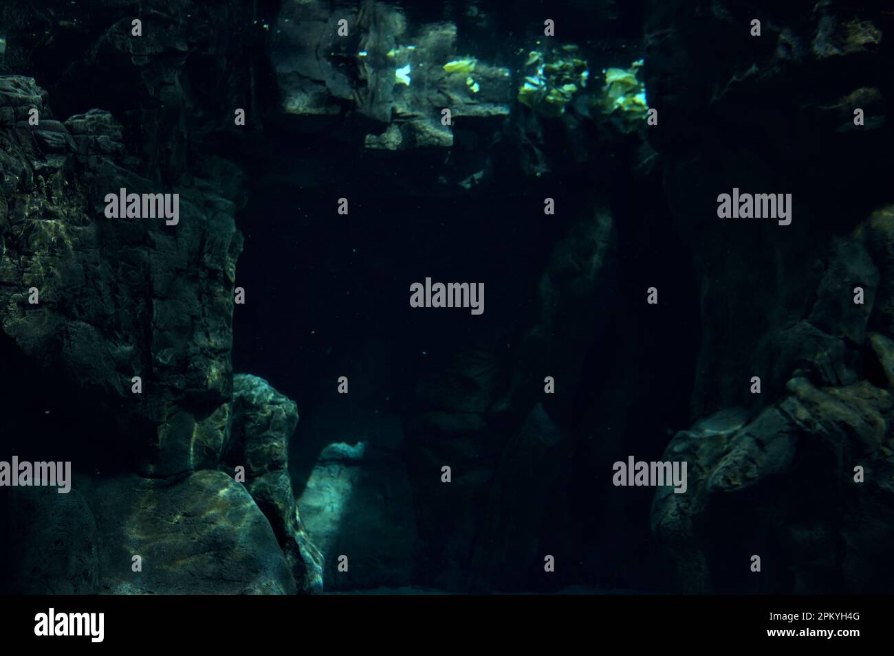 Bottom of a tank with rocks and pebbles in an aquarium Stock Photo - Alamy
