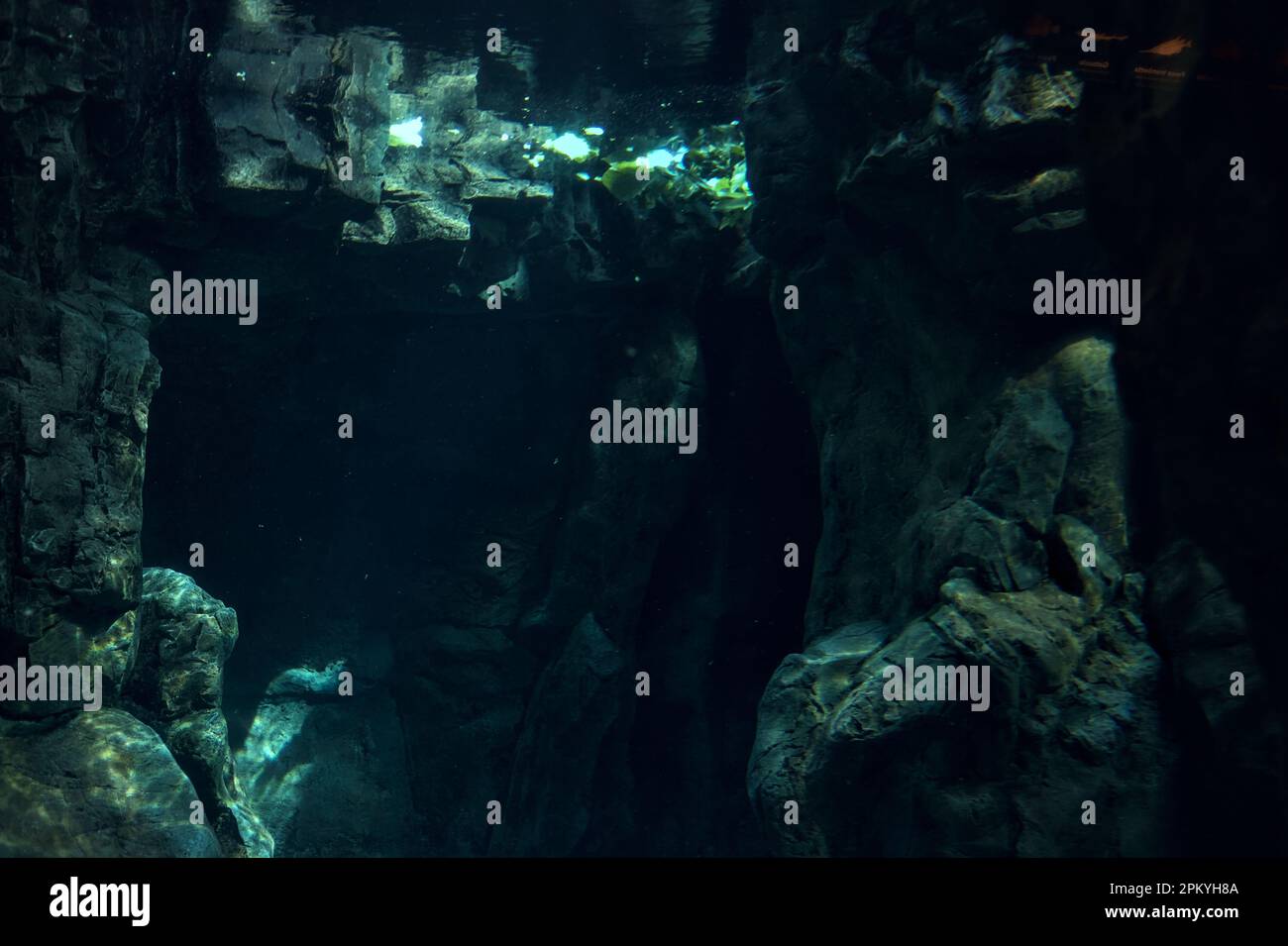 Tank bottom view hi-res stock photography and images - Alamy