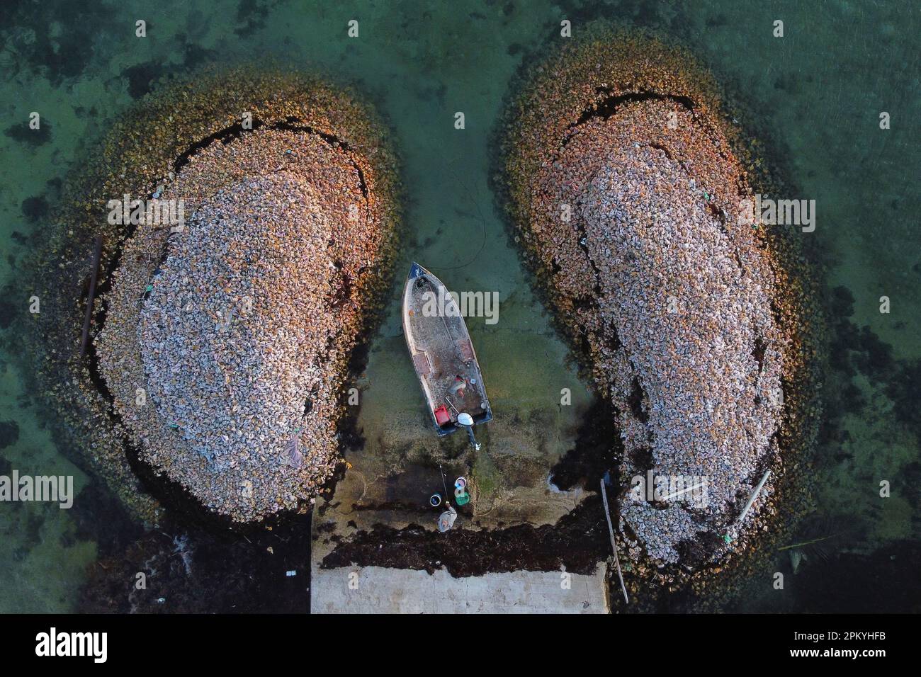 Piles of discarded conch shells flank a boat ramp as fishermen head out ...