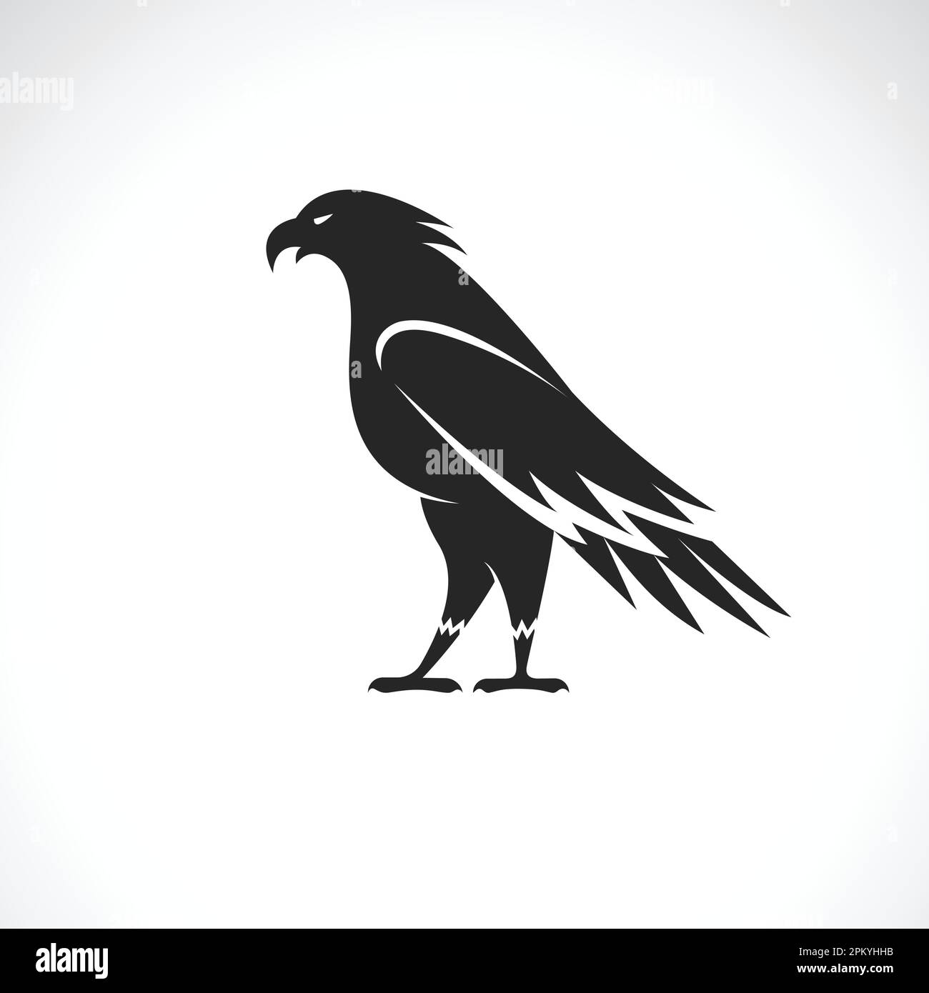 Vector of an eagle design on white background. Easy editable layered ...