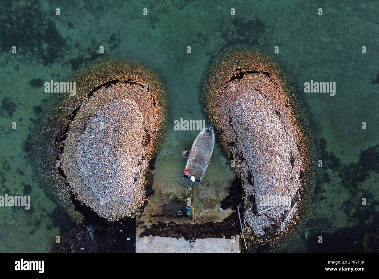 Piles of discarded conch shells flank a boat ramp as fishermen head out ...