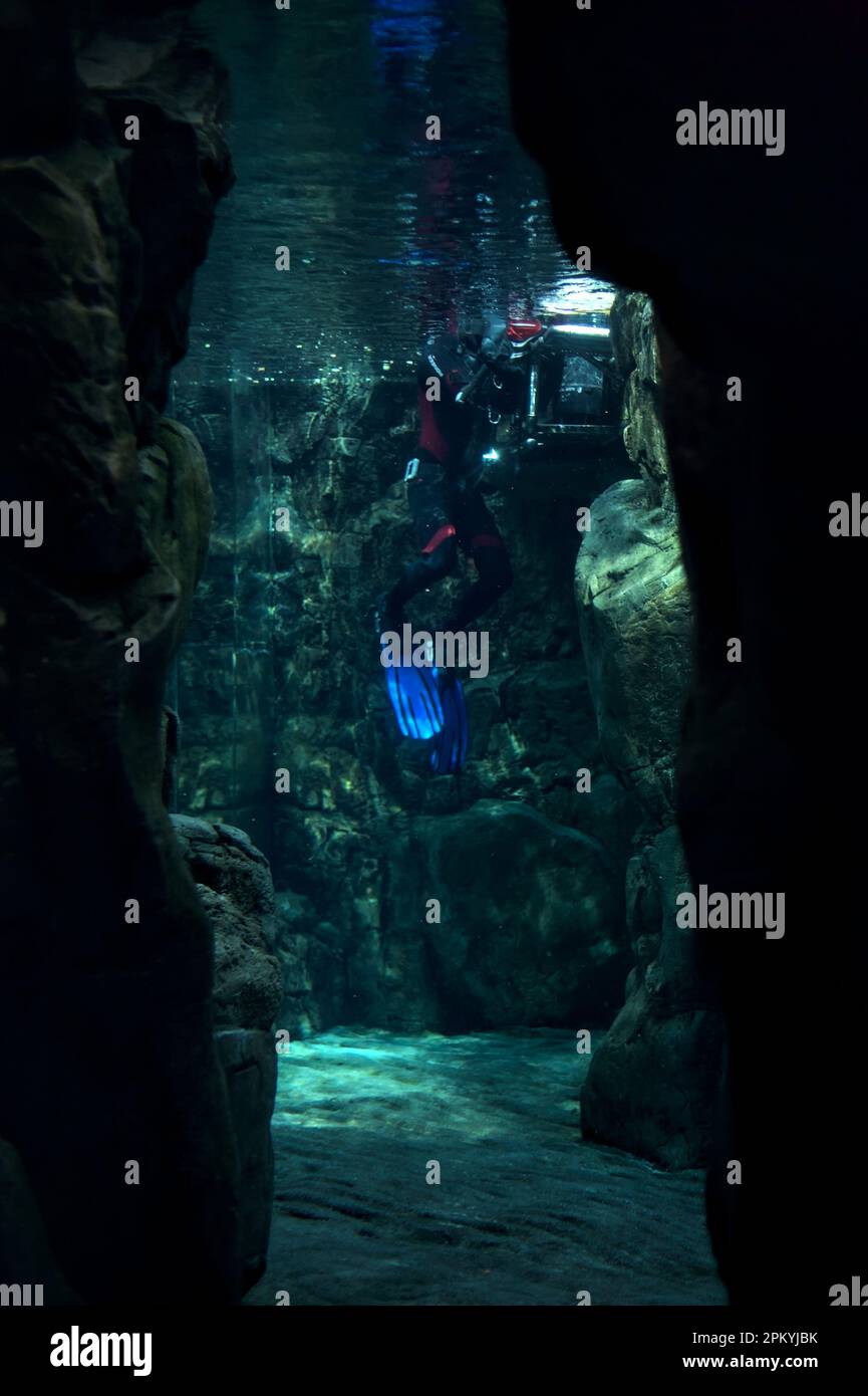 Diver with equipment floating seen from below in an aquarium Stock ...