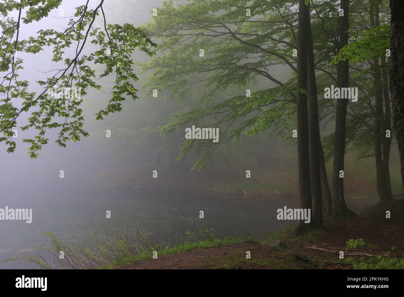 Mystical fog over the pond at the beginning of the route on Corno alle ...