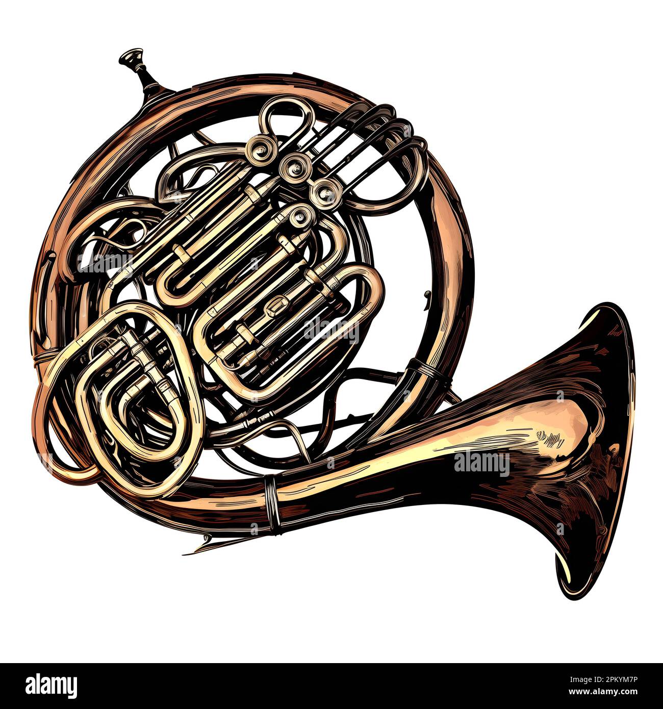 French horn instrument on Cut Out Stock Images & Pictures - Alamy