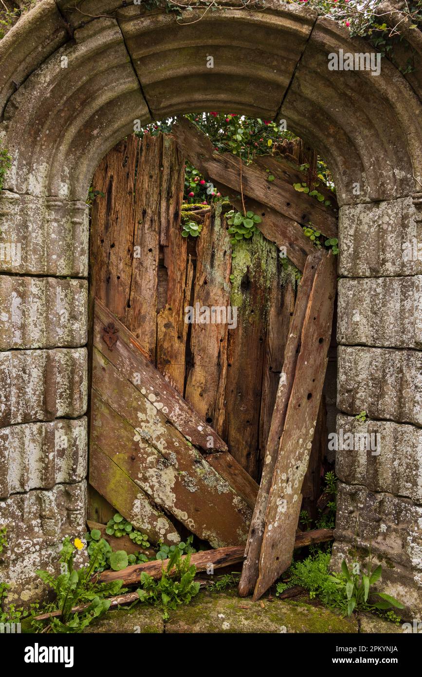 A decaying wooden garden gate in the streets of Locronan, Brittany ...